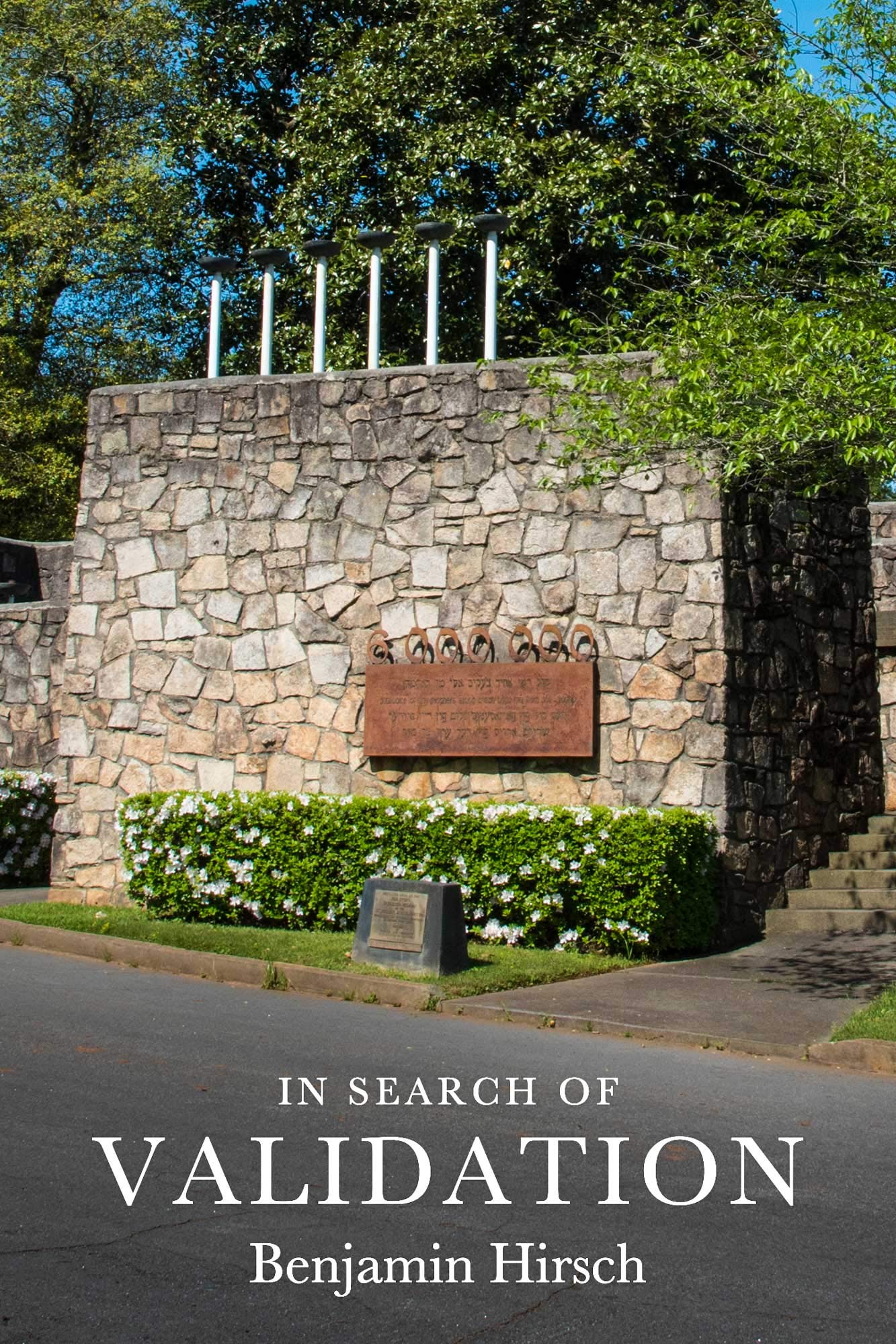 In Search of Validation: A Child Survivor of the Holocaust Chronicles His Adult Years by ...