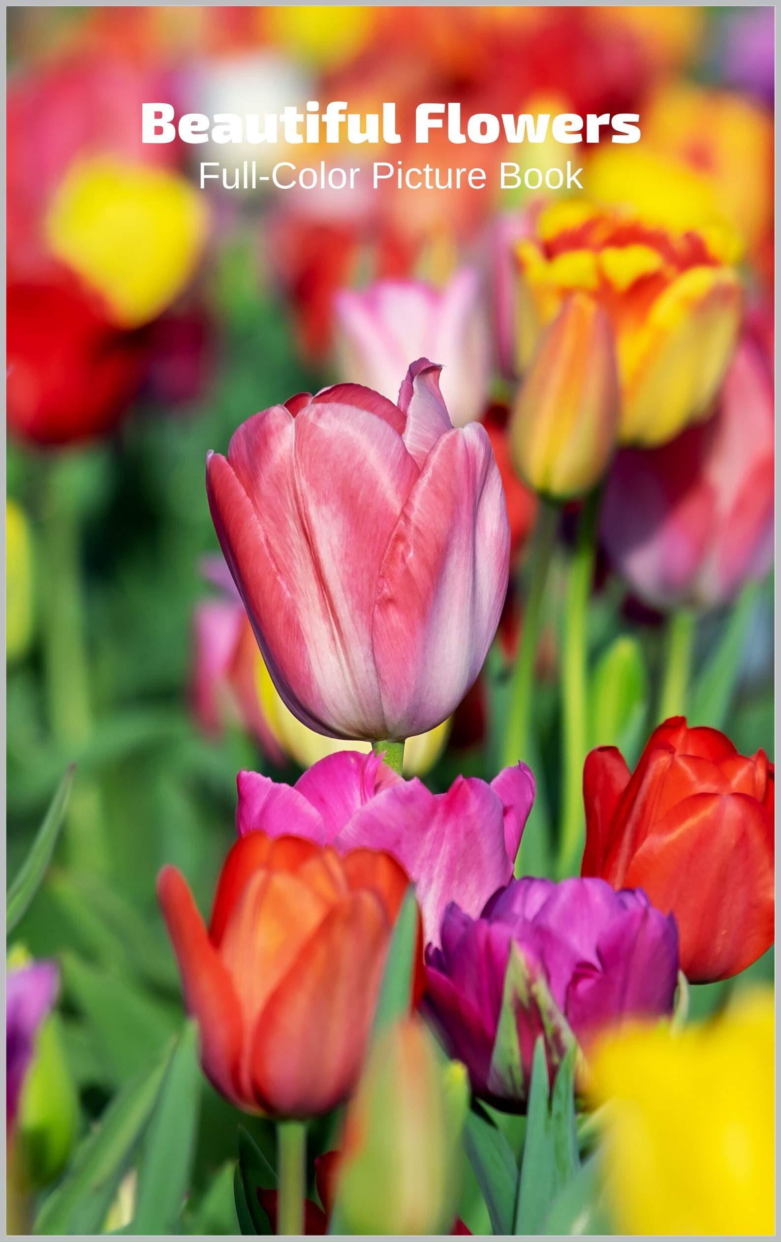 Beautiful Flowers Full-Color Picture Book: Flower Picture Book Flowers ...