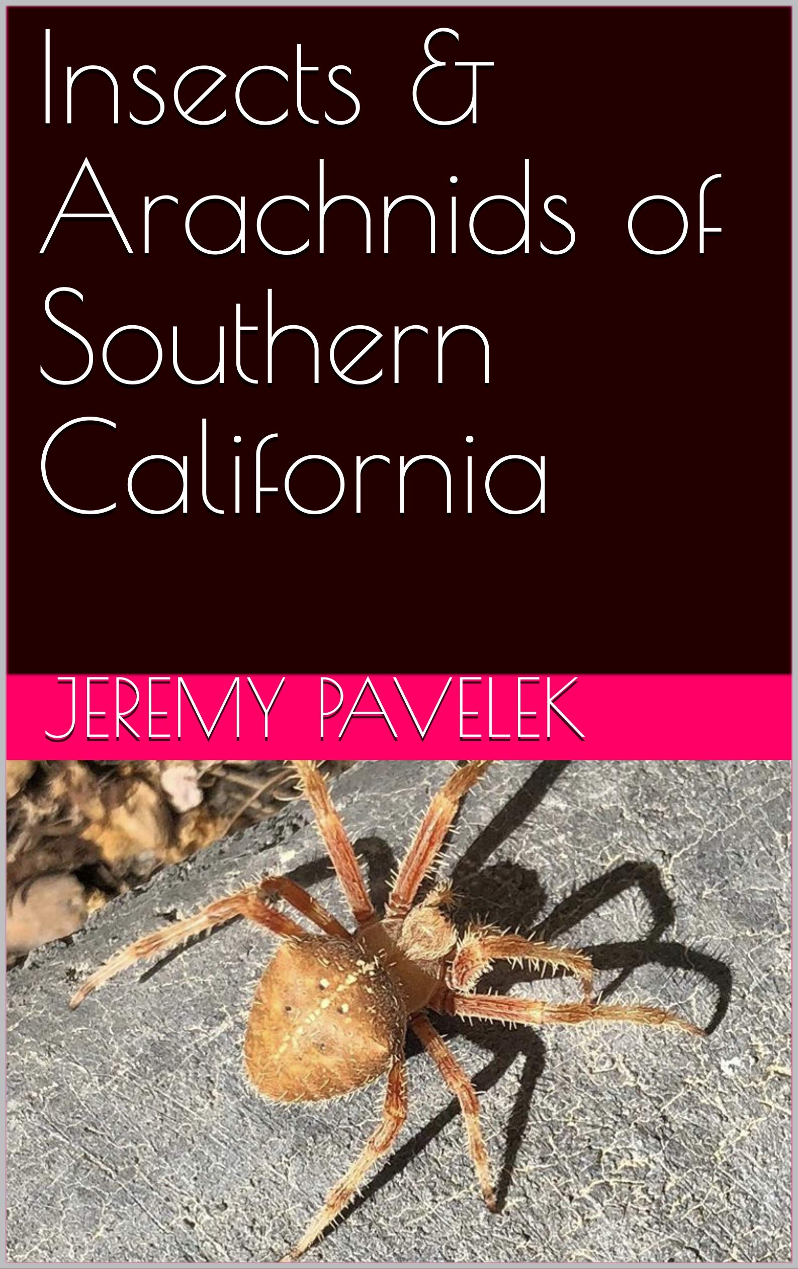Insects & Arachnids of Southern California by Jeremy Pavelek | Goodreads