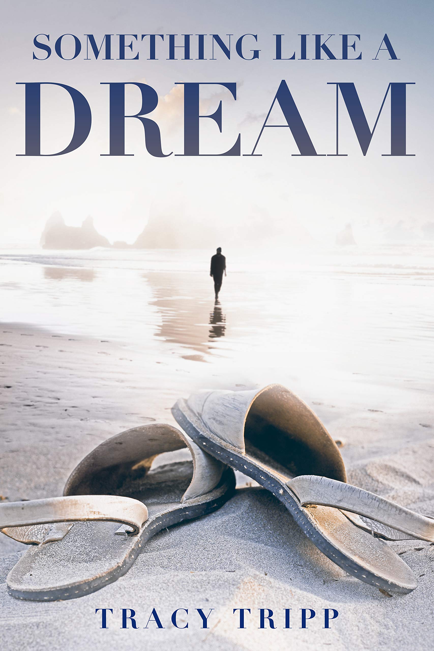 Something Like a Dream by Tracy Tripp | Goodreads