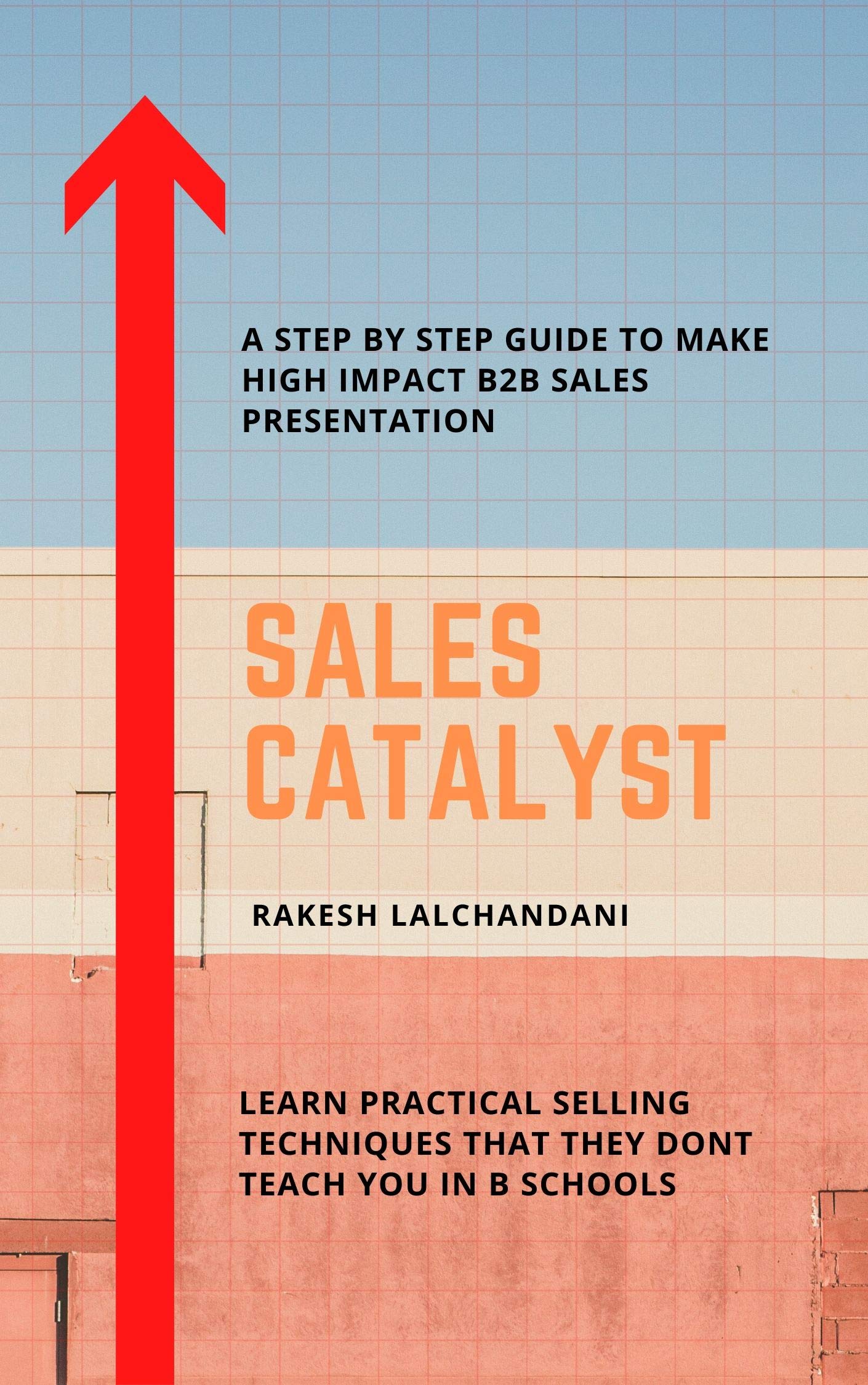 Sales Catalyst: A step by step guide to make high impact B2B Sales ...