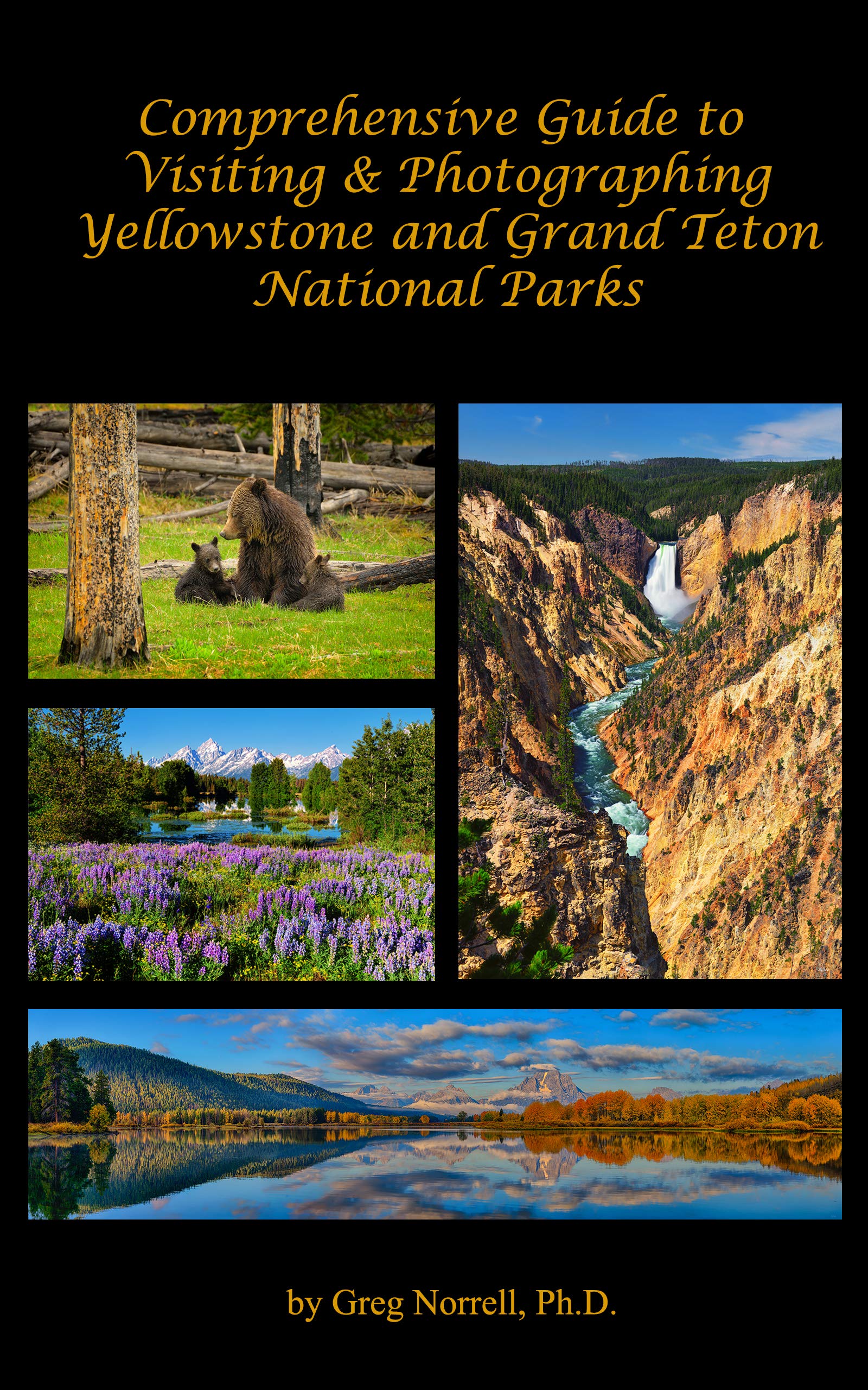 Comprehensive Guide to Visiting & Photographing Yellowstone & Grand ...