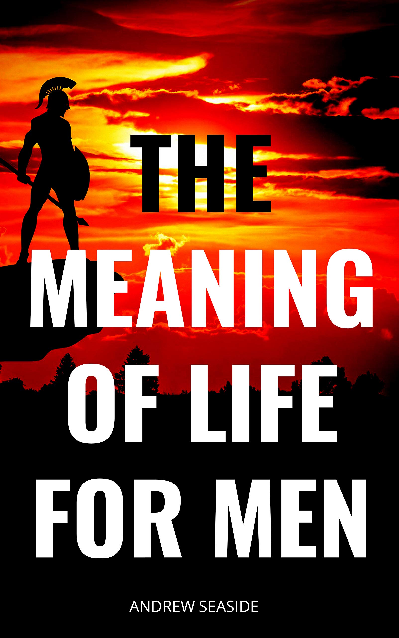 The Meaning of Life for Men: Embrace Death to Reap Life by Andrew ...