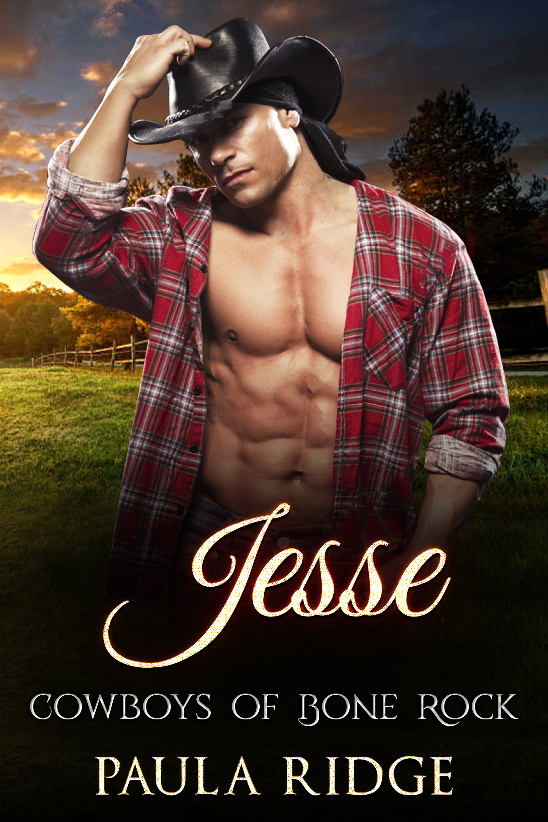 Jesse (Cowboys of Bone Rock #1) by Paula Ridge | Goodreads