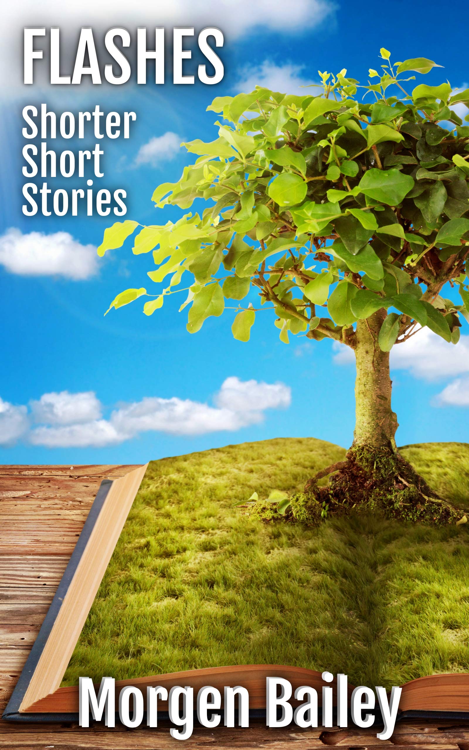 Flashes ~ Shorter Short Stories: 249 stories under 500 words by Morgen ...