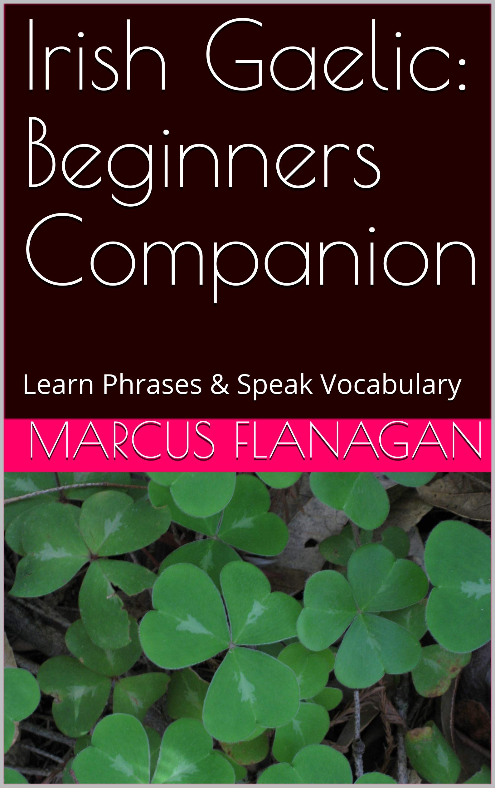 Irish Gaelic: Beginners Companion: Learn Phrases & Speak Vocabulary by ...