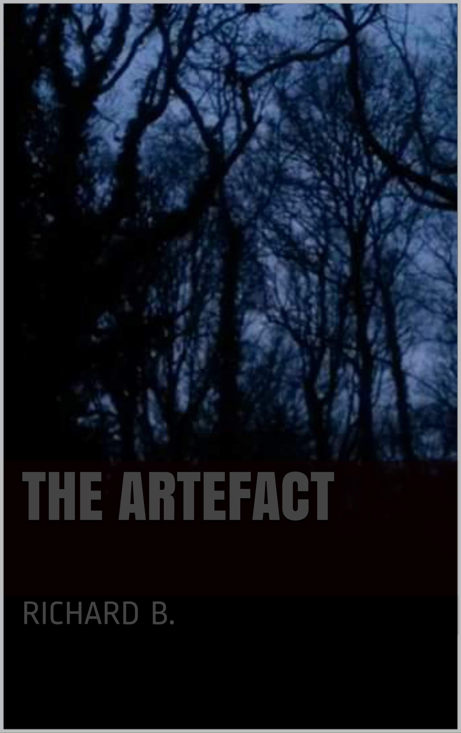 The Artefact by Richard B. Jameson | Goodreads