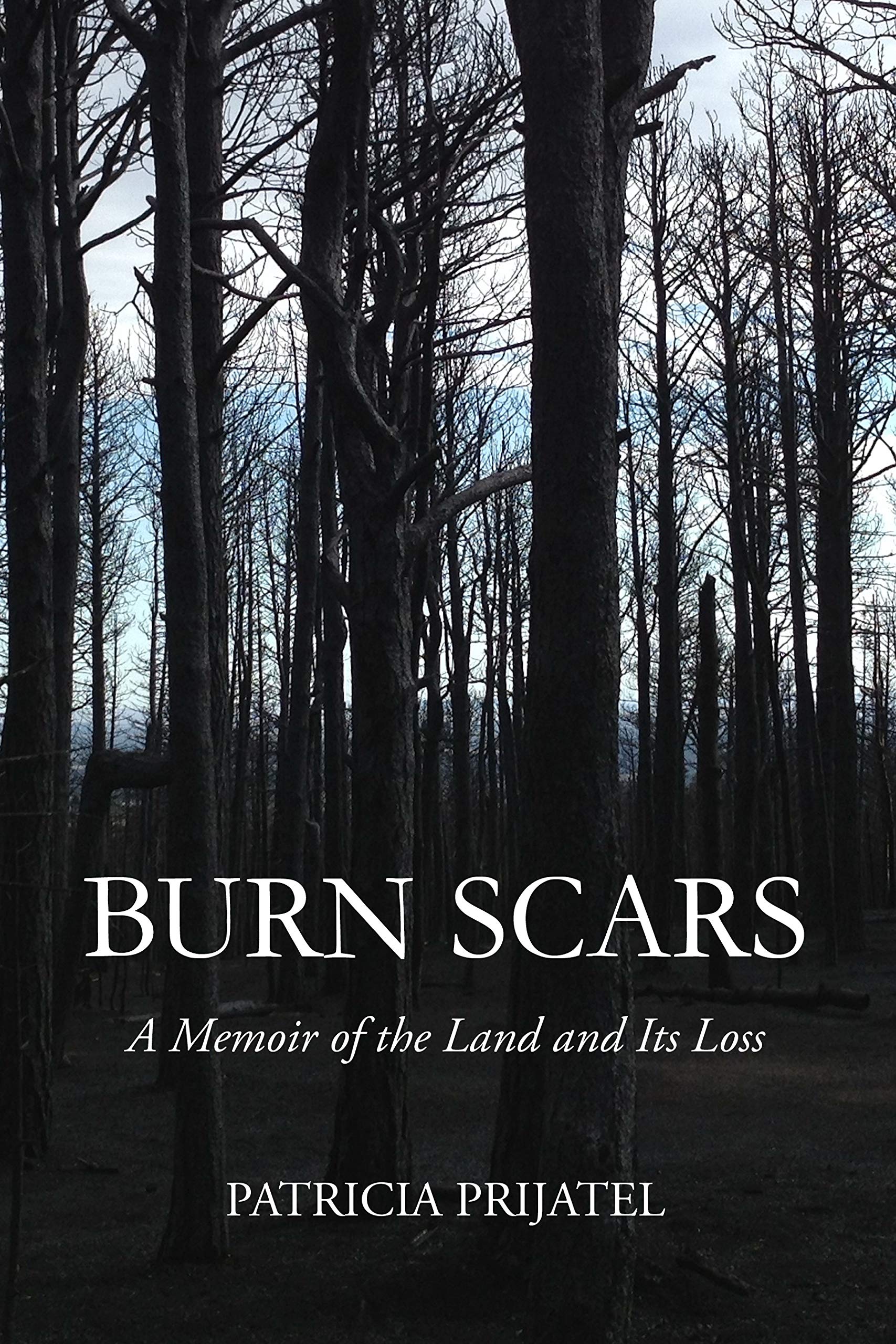 Burn Scars: A Memoir of the Land and Its Loss by Patricia Prijatel ...