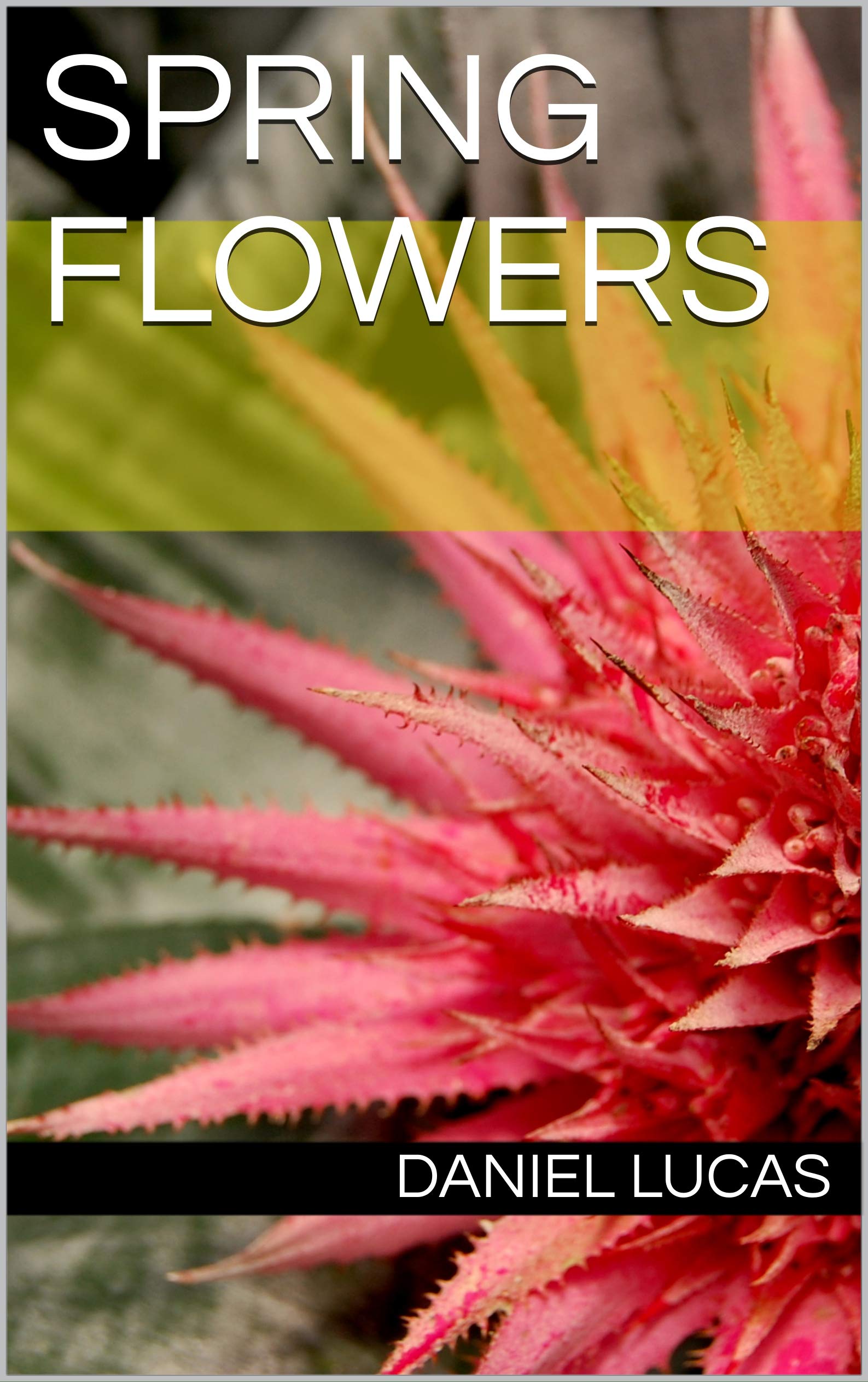 Spring Flowers : Volume 1 Heavenly by Daniel Lucas | Goodreads