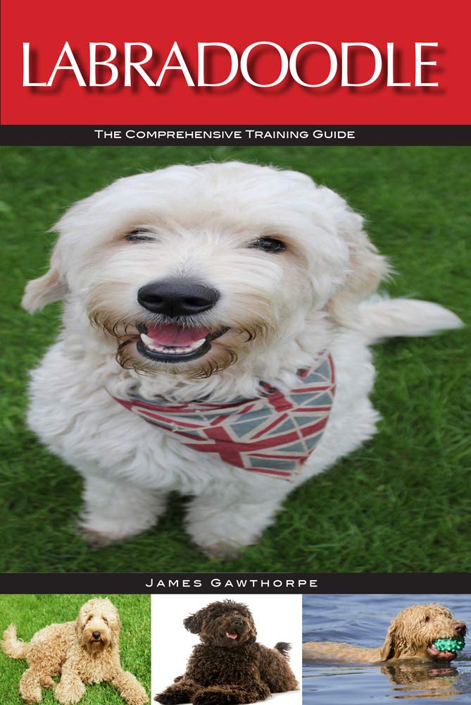 LABRADOODLE: THE COMPREHENSIVE TRAINING GUIDE by James Gawthorpe ...