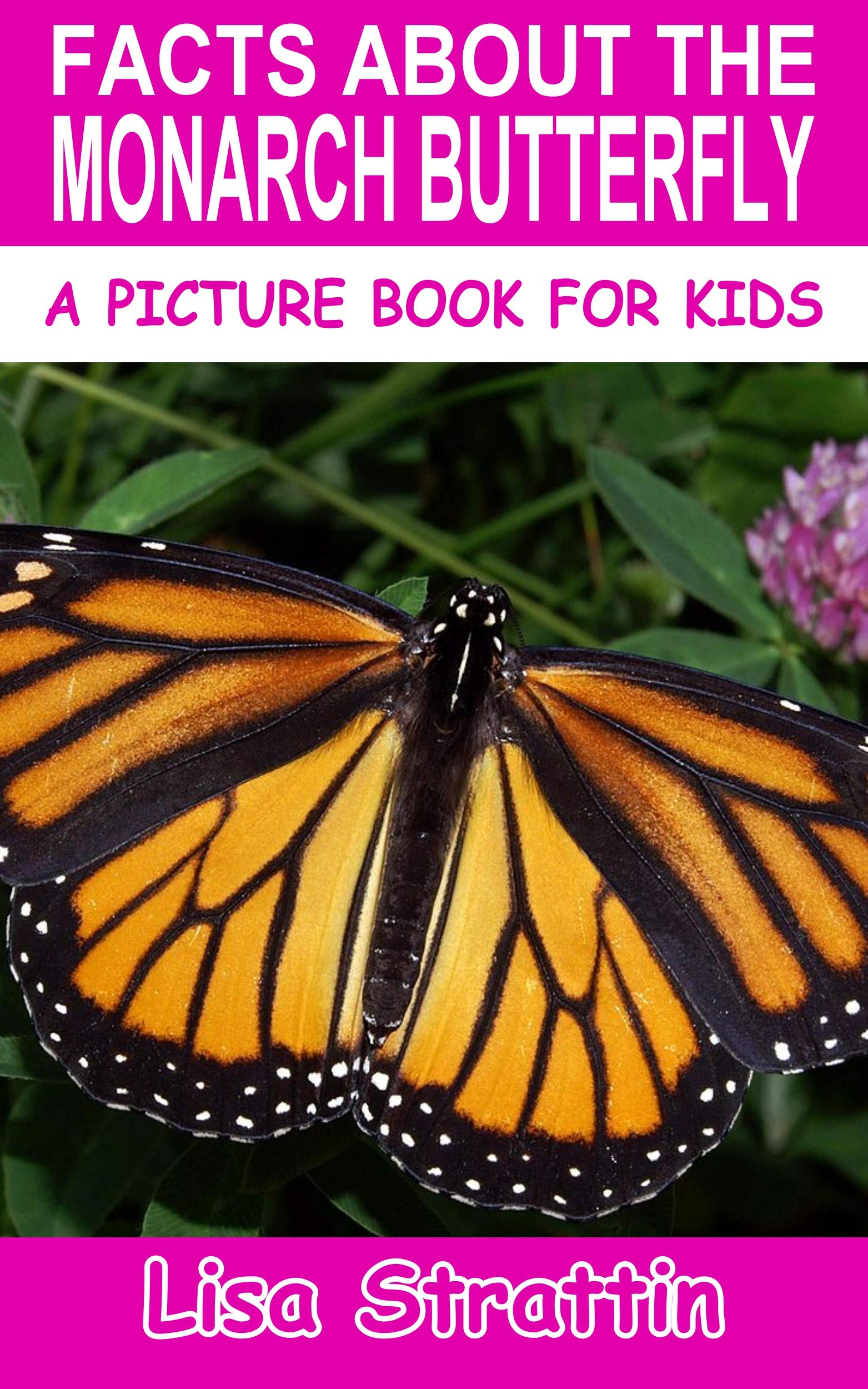 Facts About the Monarch Buttterfly by Lisa Strattin | Goodreads