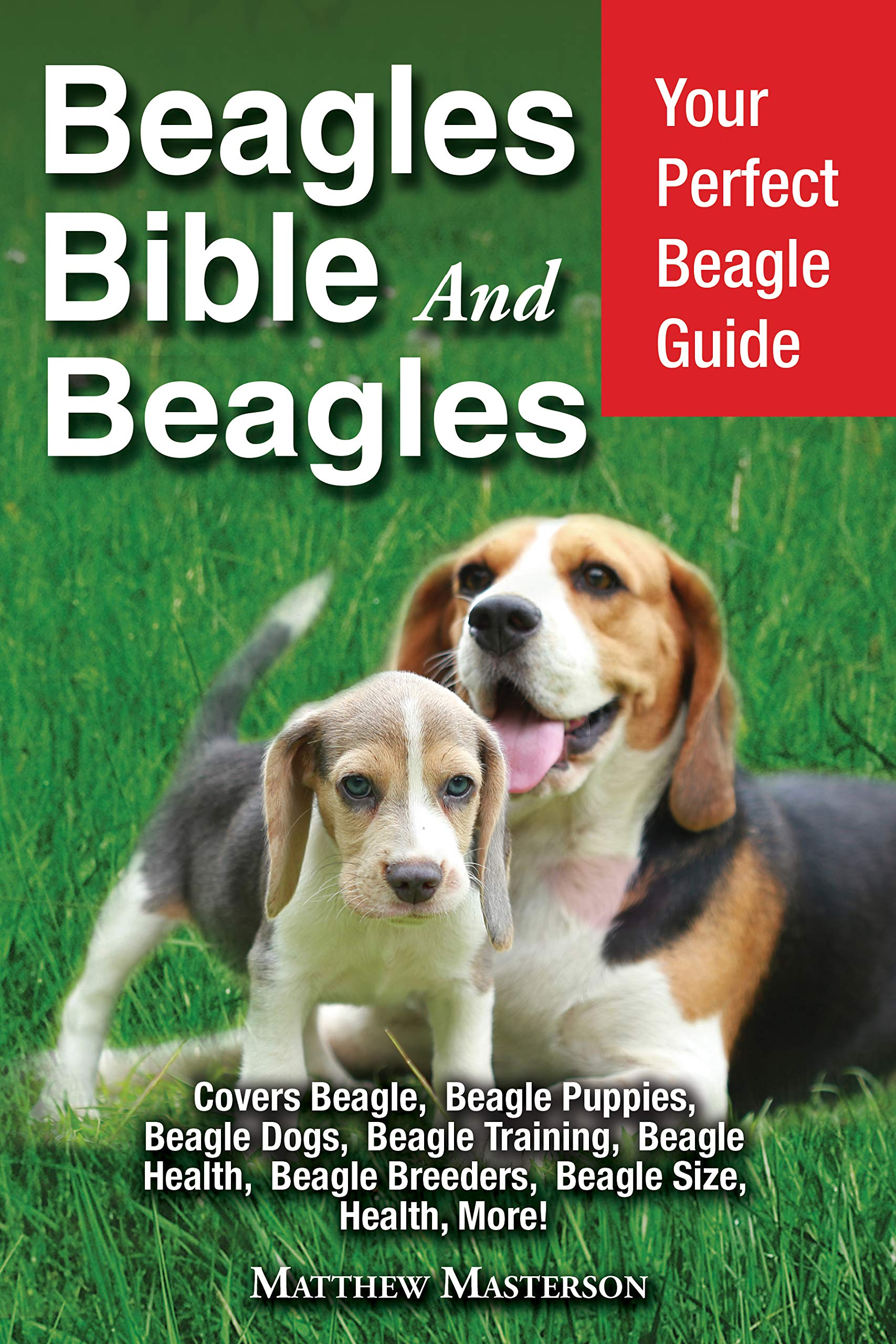 Beagle Bible And Beagles: Your Perfect Beagle Guide: Beagle, Beagles ...