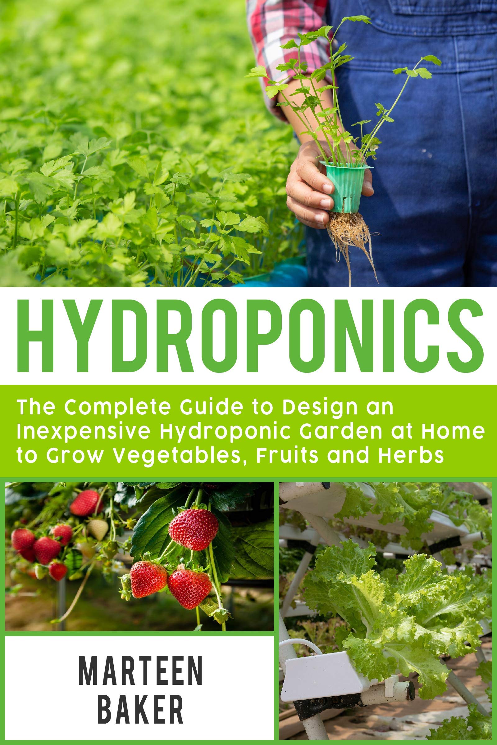 Hydroponics: The Complete Guide to Design an Inexpensive Hydroponic ...