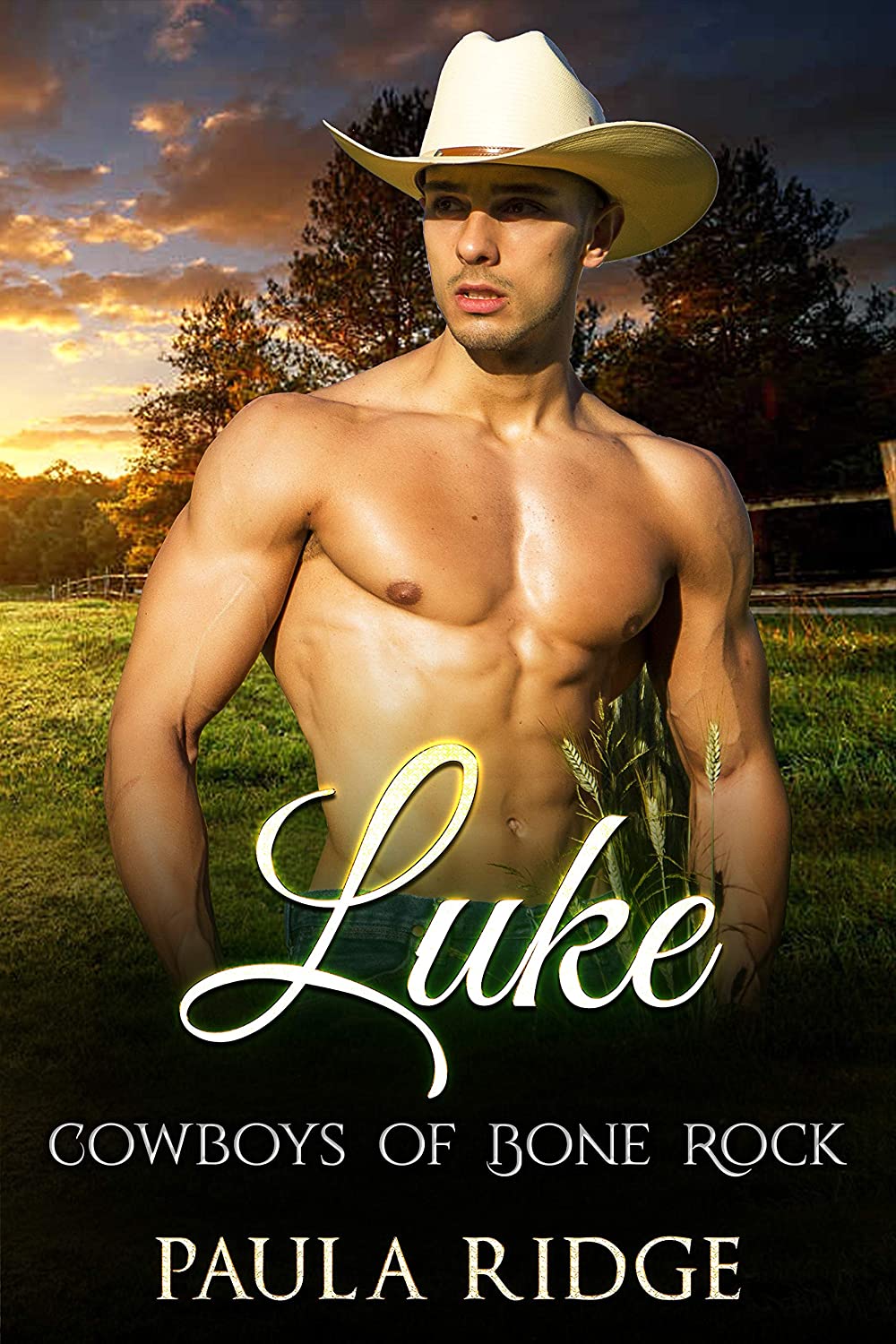 Luke (Cowboys of Bone Rock Book 2) by Paula Ridge | Goodreads