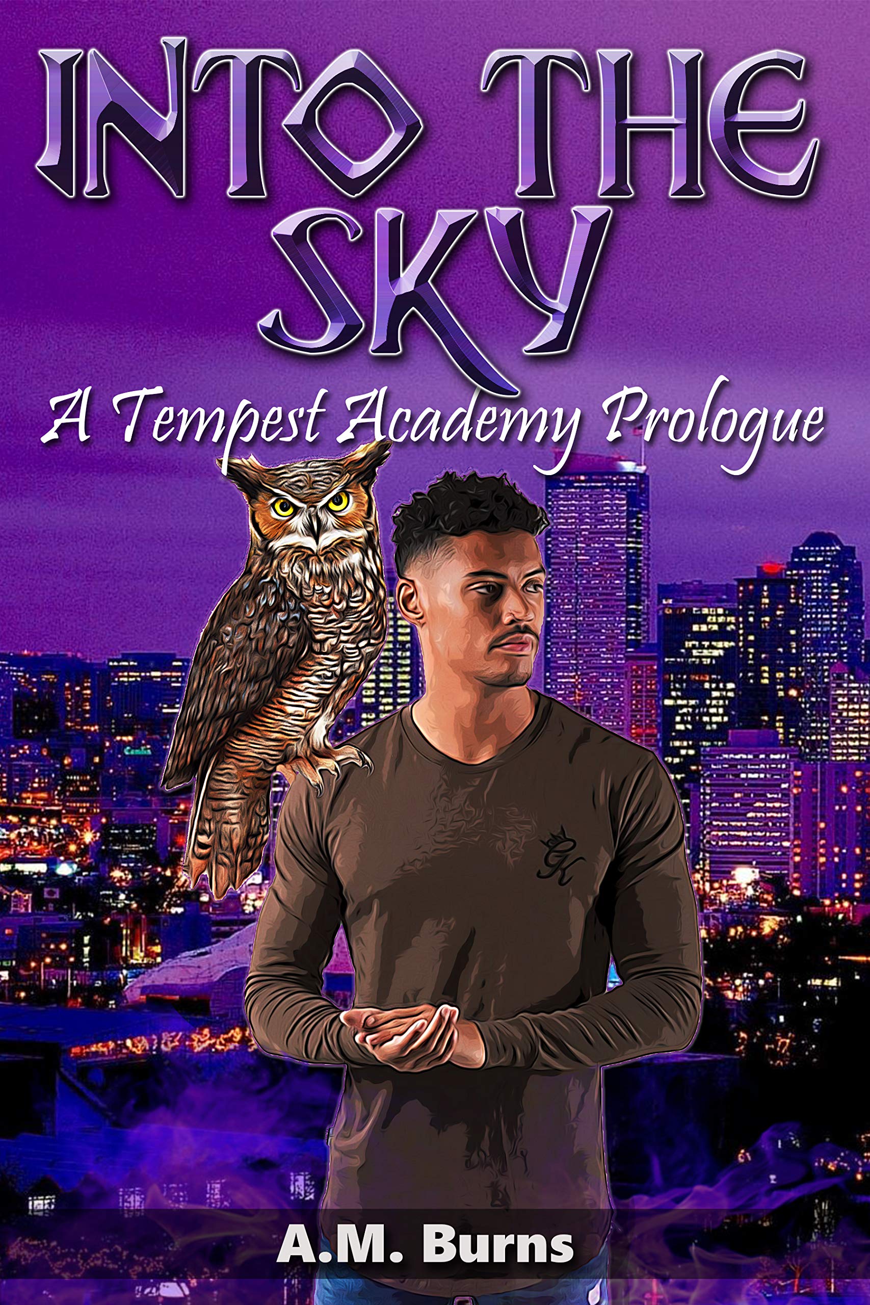 Into the Sky (Tempest Academy Prologue Book 2) by A.M. Burns | Goodreads