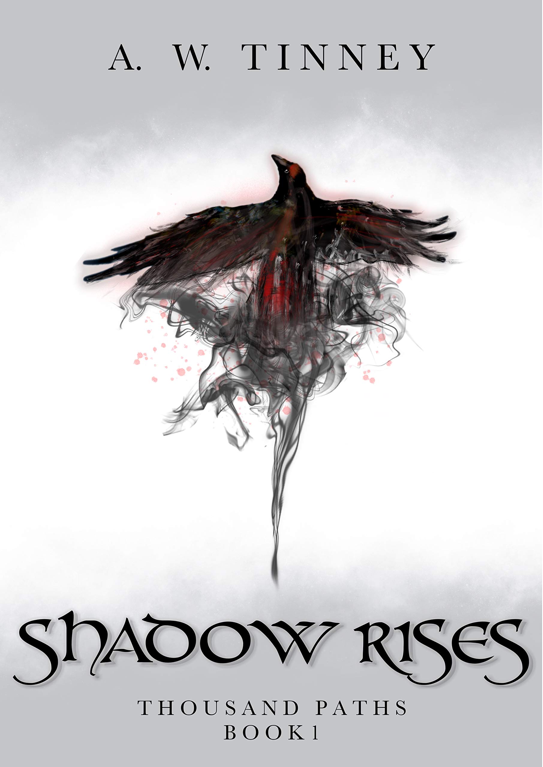 Shadow Rises: Thousand Paths Book One by Andrew Tinney | Goodreads