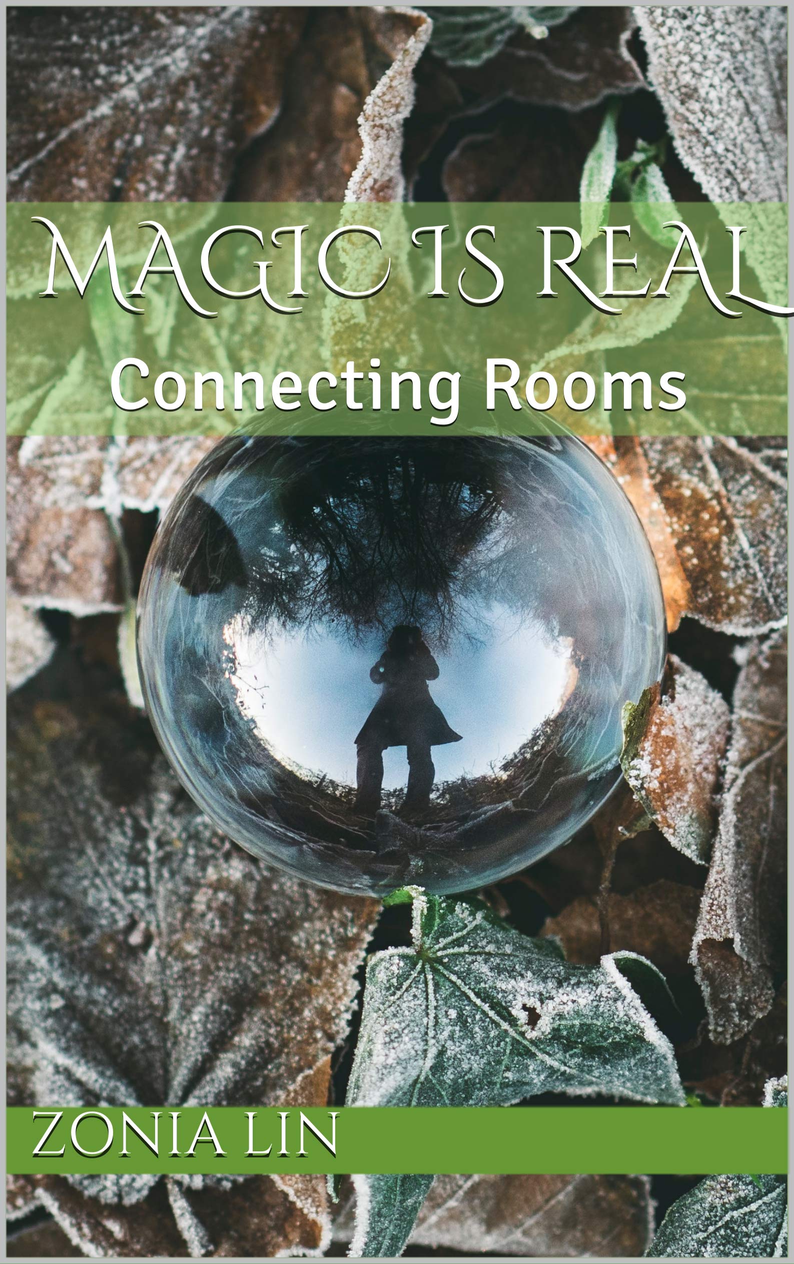 Connecting Rooms (Magic is Real Book 1) by Zonia Lin | Goodreads
