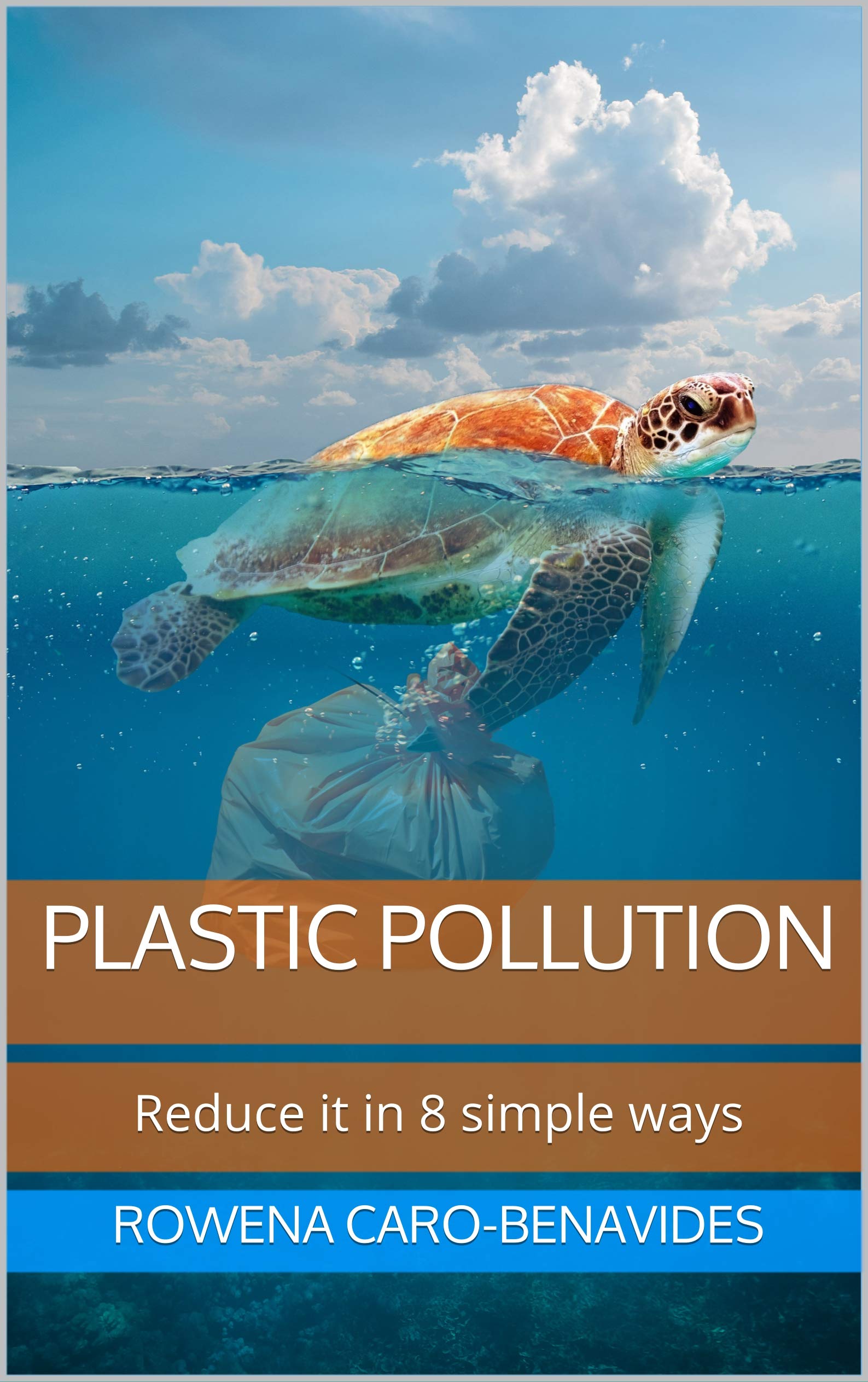 Single-Use Plastic Pollution: Reduce it in 8 simple ways by Rowena Caro ...