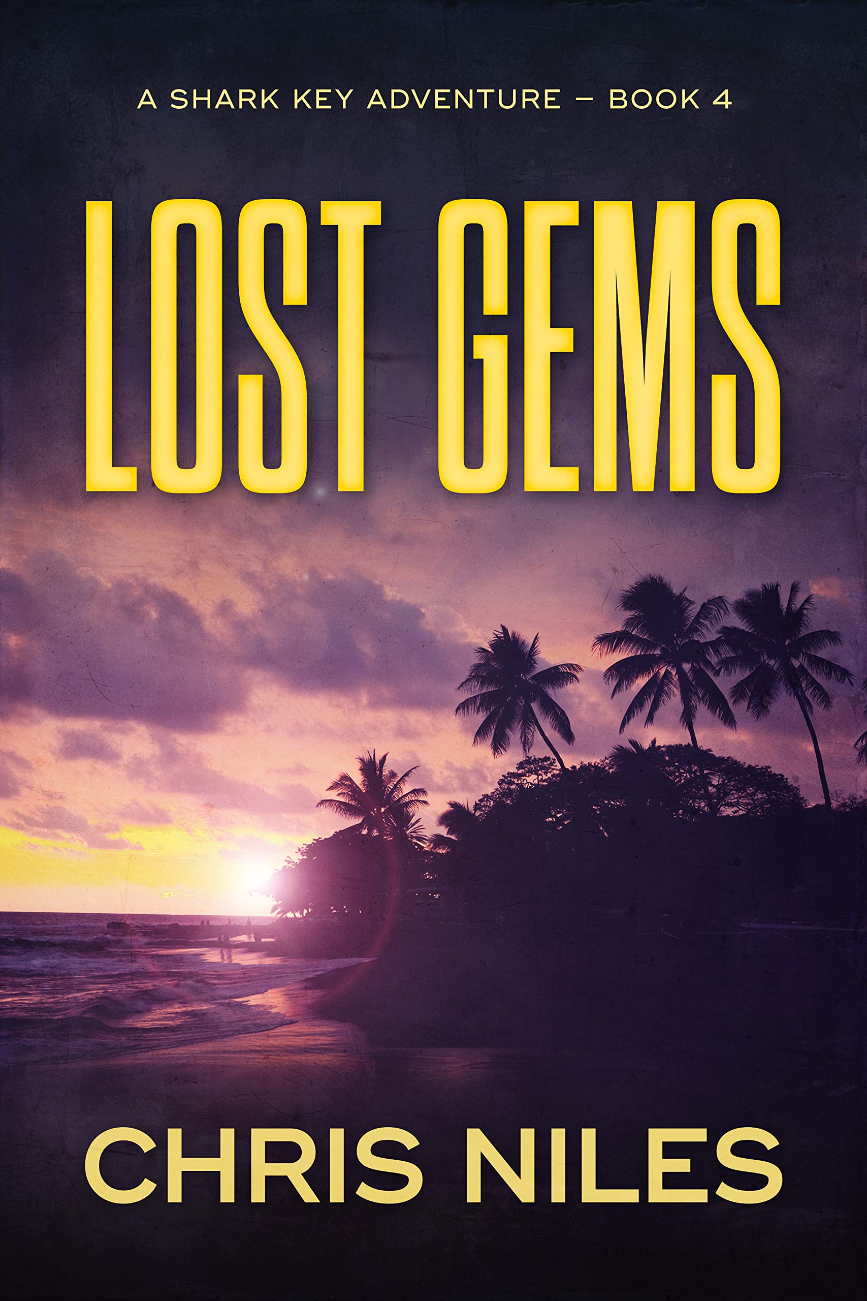 Lost Gems (Shark Key Adventures #4) by Chris Niles | Goodreads