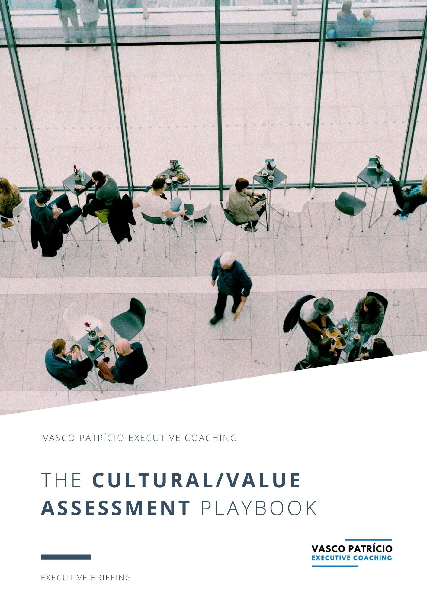 The Cultural/Value Assessment Playbook: Finding Out What Are Your ...