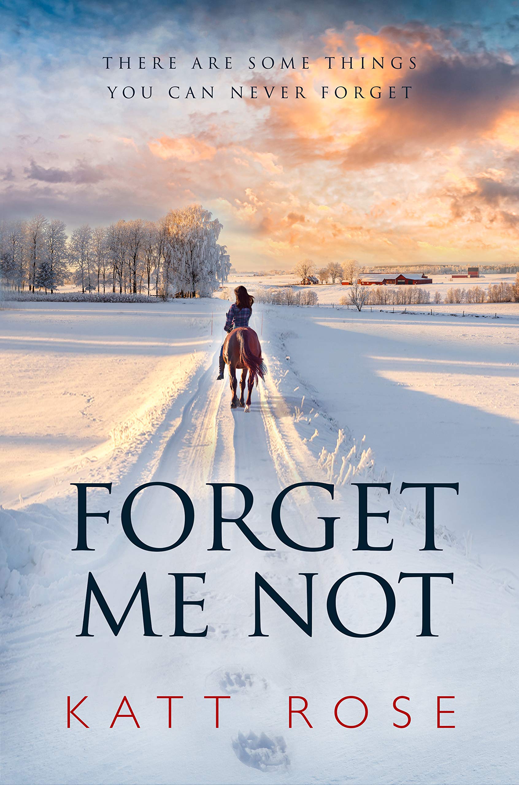 Forget Me Not: There Are Some Things You Can Never Forget by Katt Rose ...