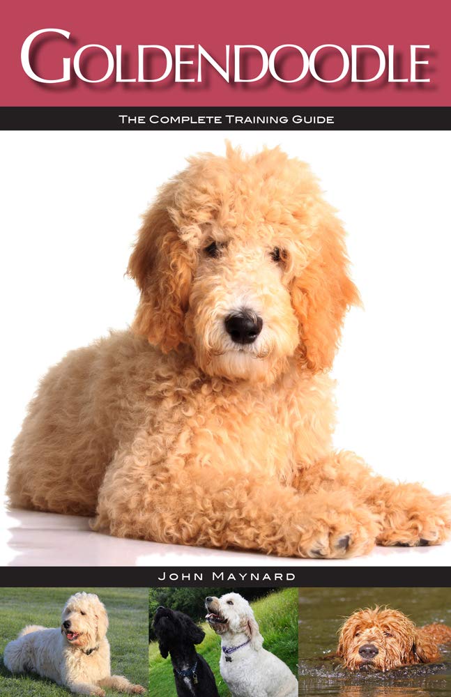 GOLDENDOODLE: THE COMPLETE TRAINING GUIDE by John Maynard | Goodreads