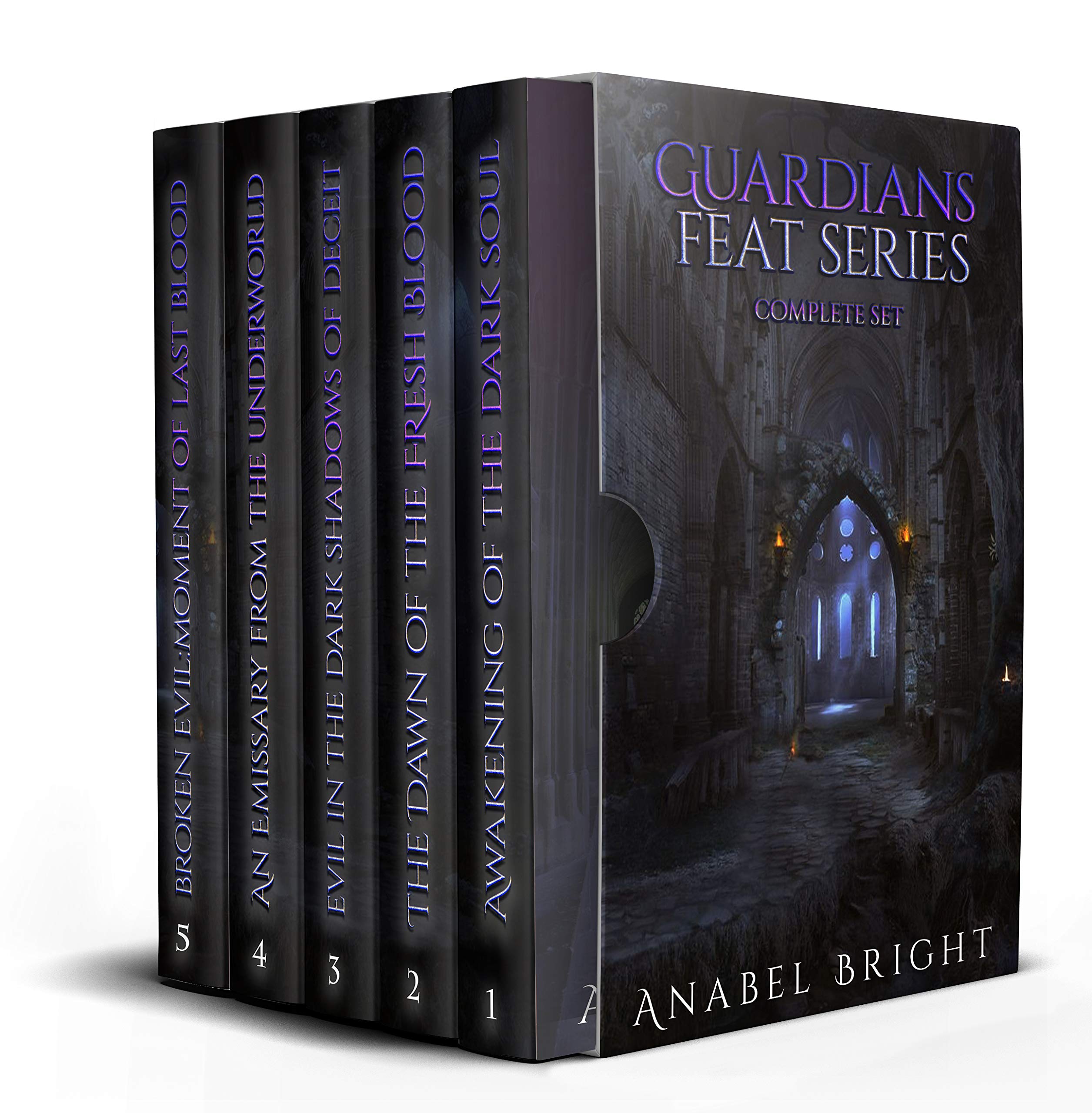 Boxset Series: Guardians Series 2- Guardians Feat Series : by Anabel ...