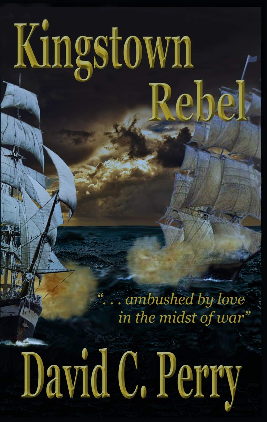 Kingstown Rebel (Not Self but Country Book 5) by David Perry | Goodreads