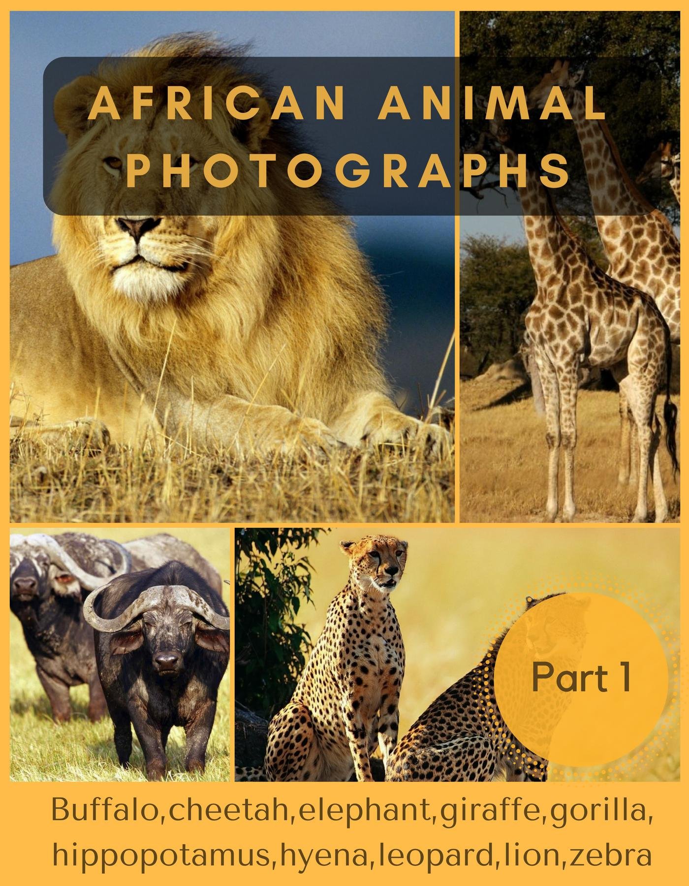 African animal photography part 1 by Jeff Whitehouse | Goodreads