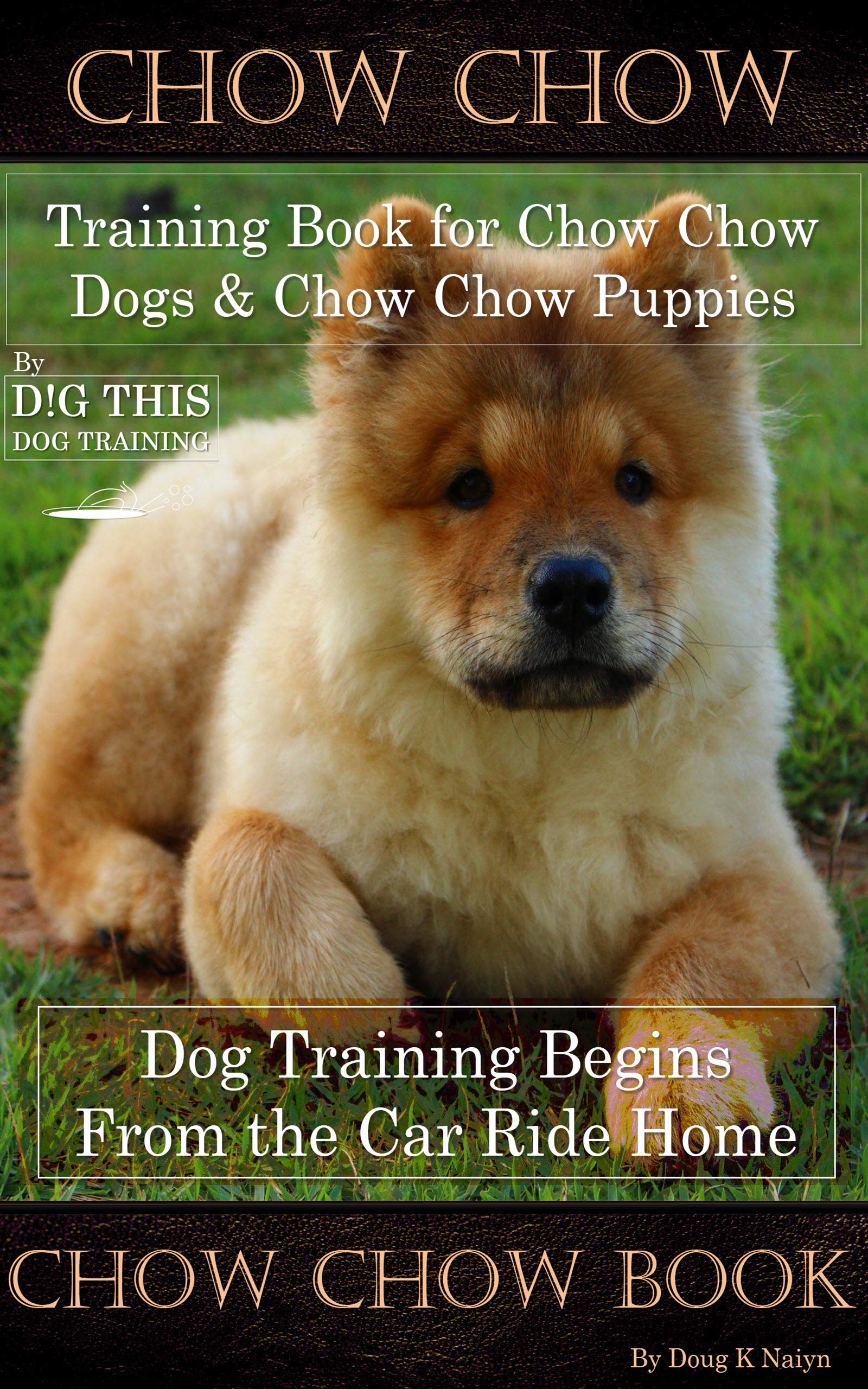 How Do You Train A Chow Chow Do You Poop