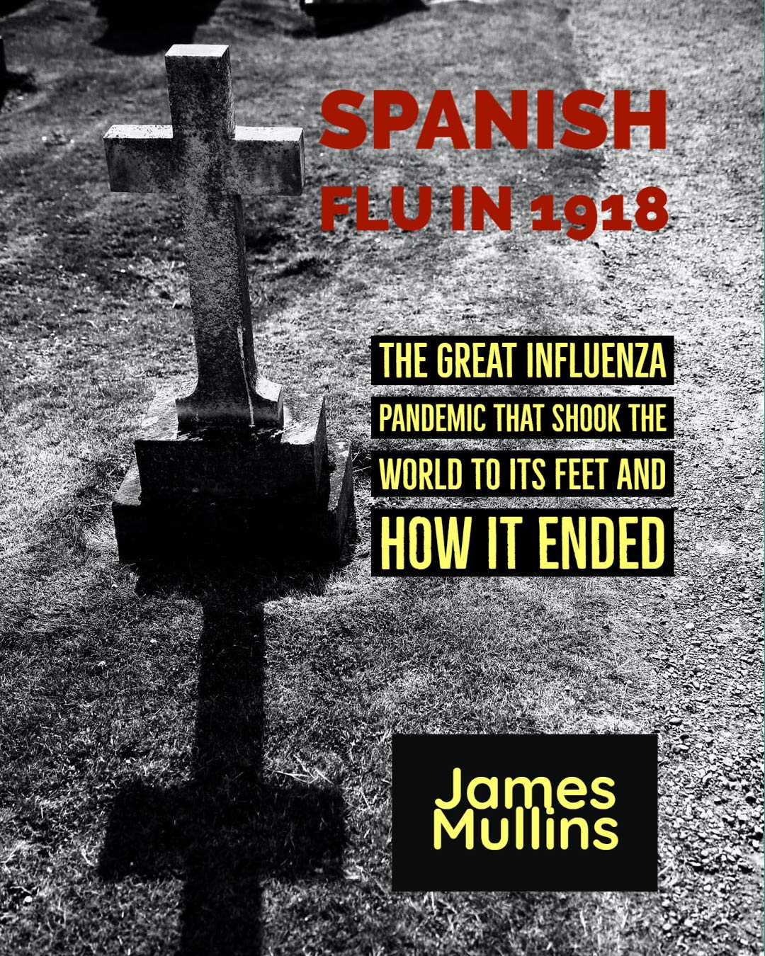 Spanish Flu in 1918: The Great Influenza Pandemic that Shook the World ...