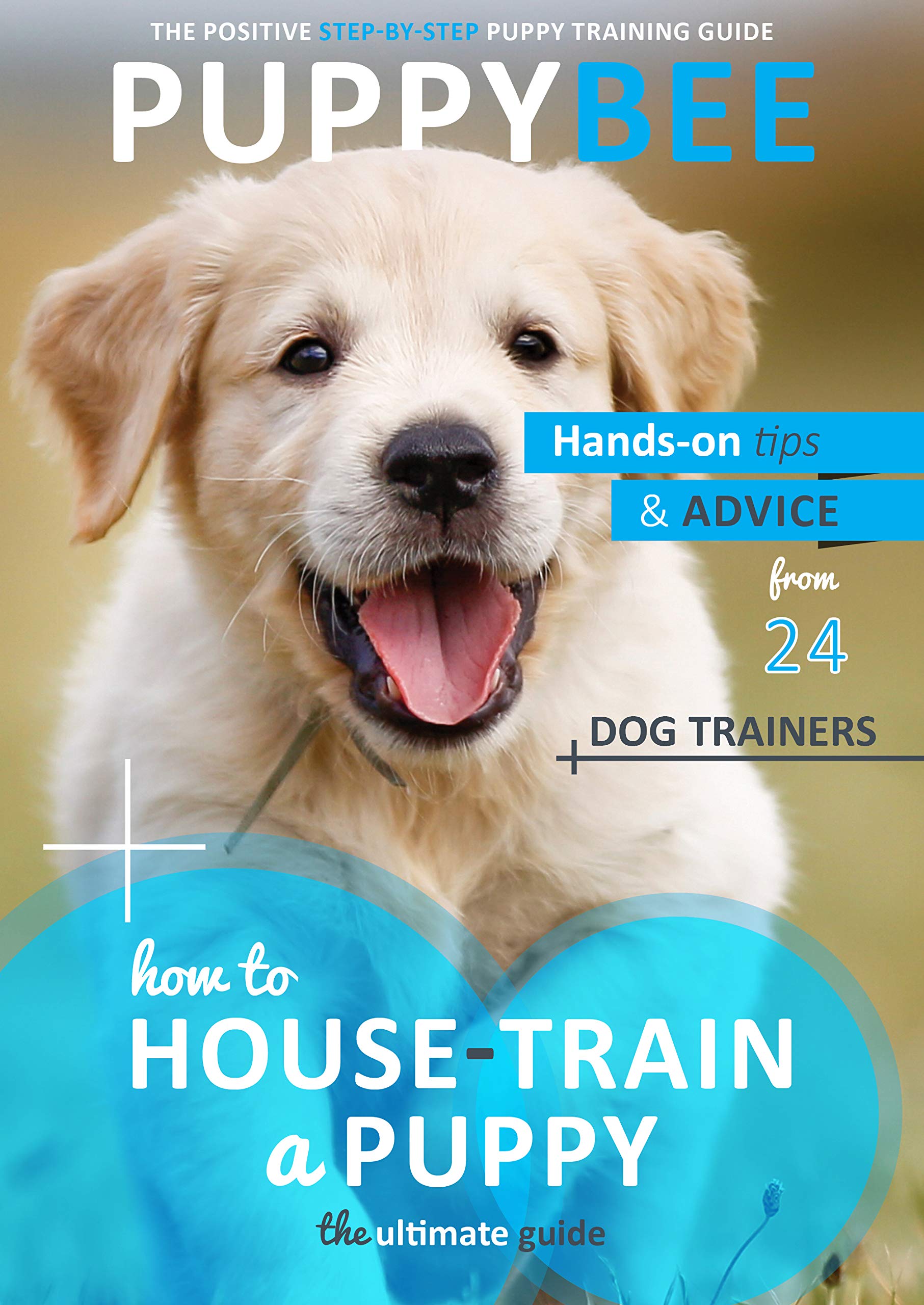 How to House-Train a Puppy: The Ultimate Guide: Hand-on tips and advice ...