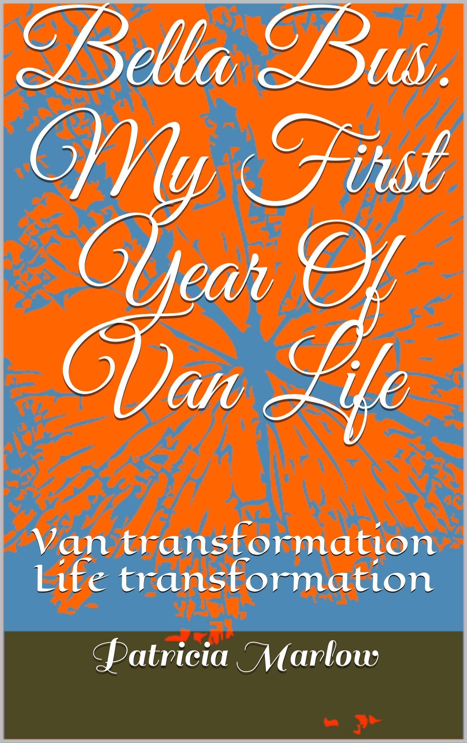 Bella Bus. My First Year Of Van Life: Van transformation Life ...