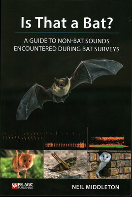 Is That a Bat?: A Guide to Non-Bat Sounds Encountered During Bat ...