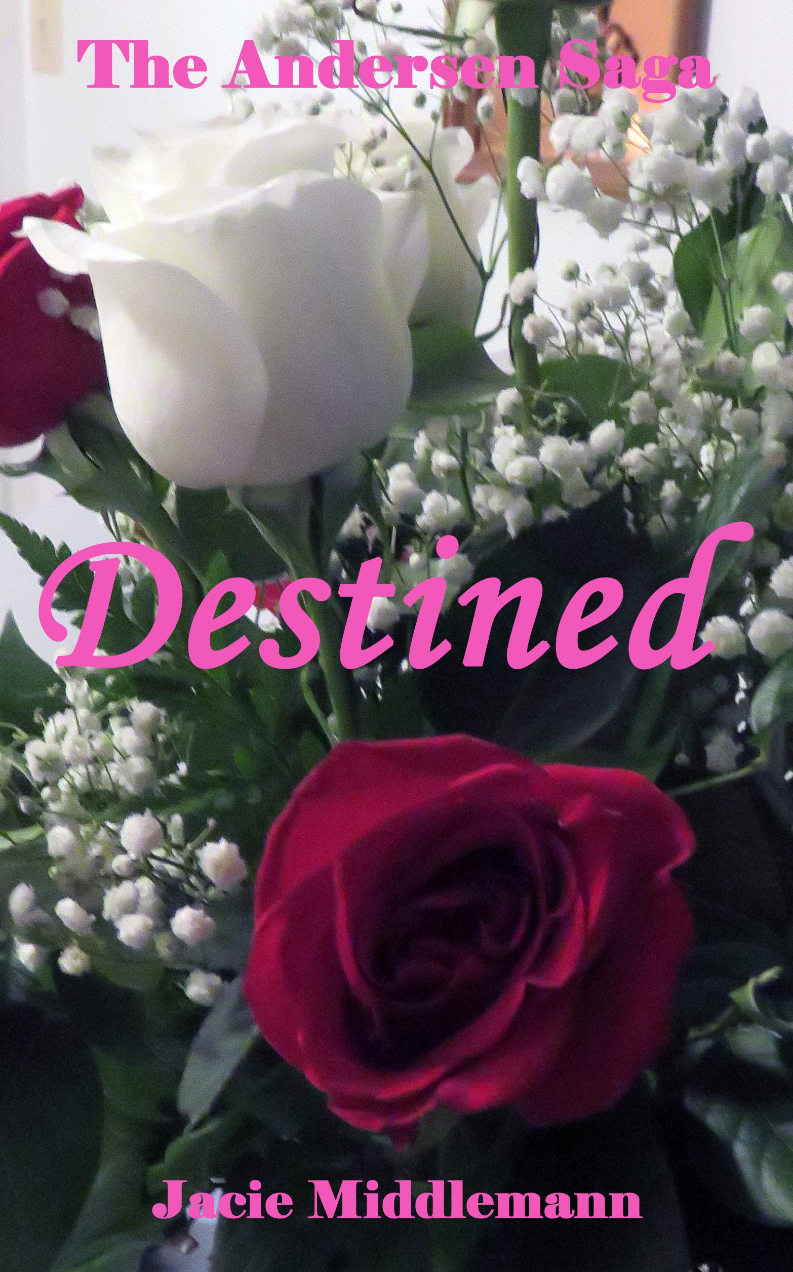 Destined (The Andersens #23) by Jacie Middlemann | Goodreads