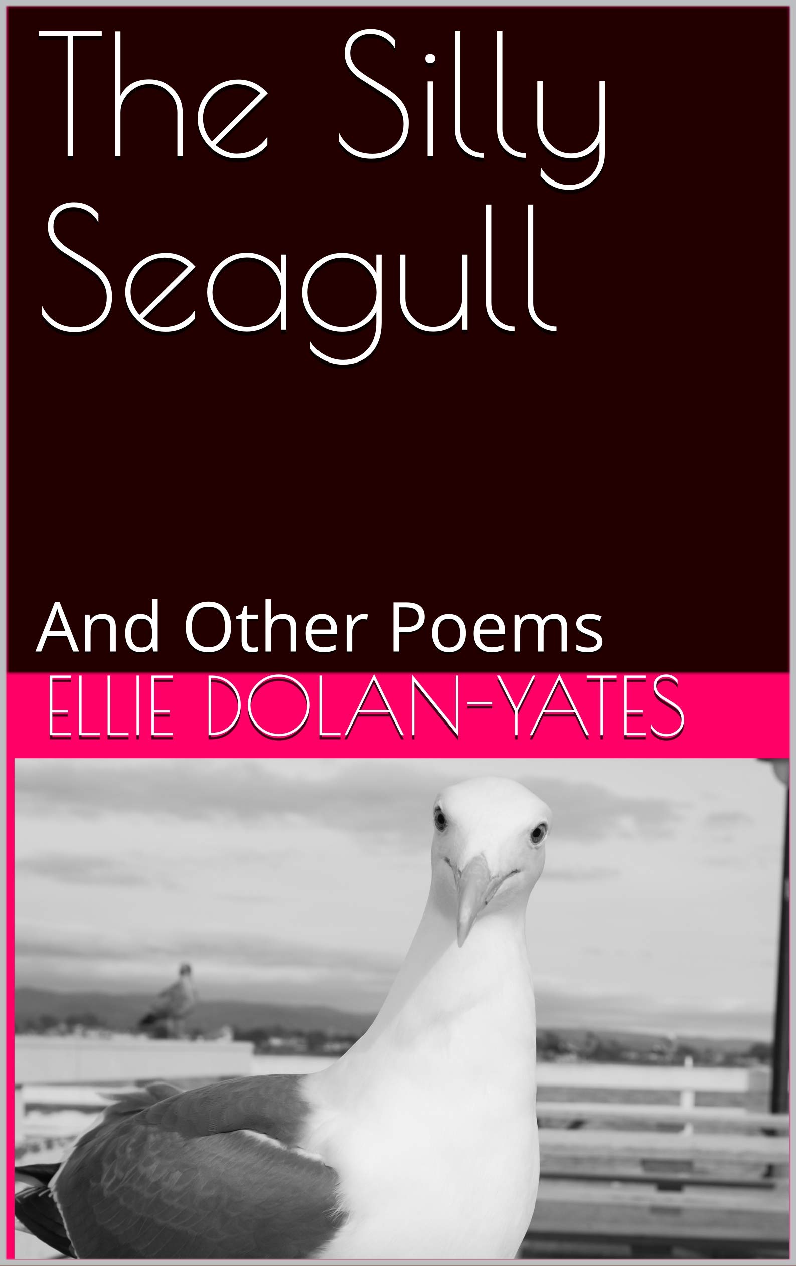 The Silly Seagull : And Other Poems by Ellie Dolan-Yates | Goodreads