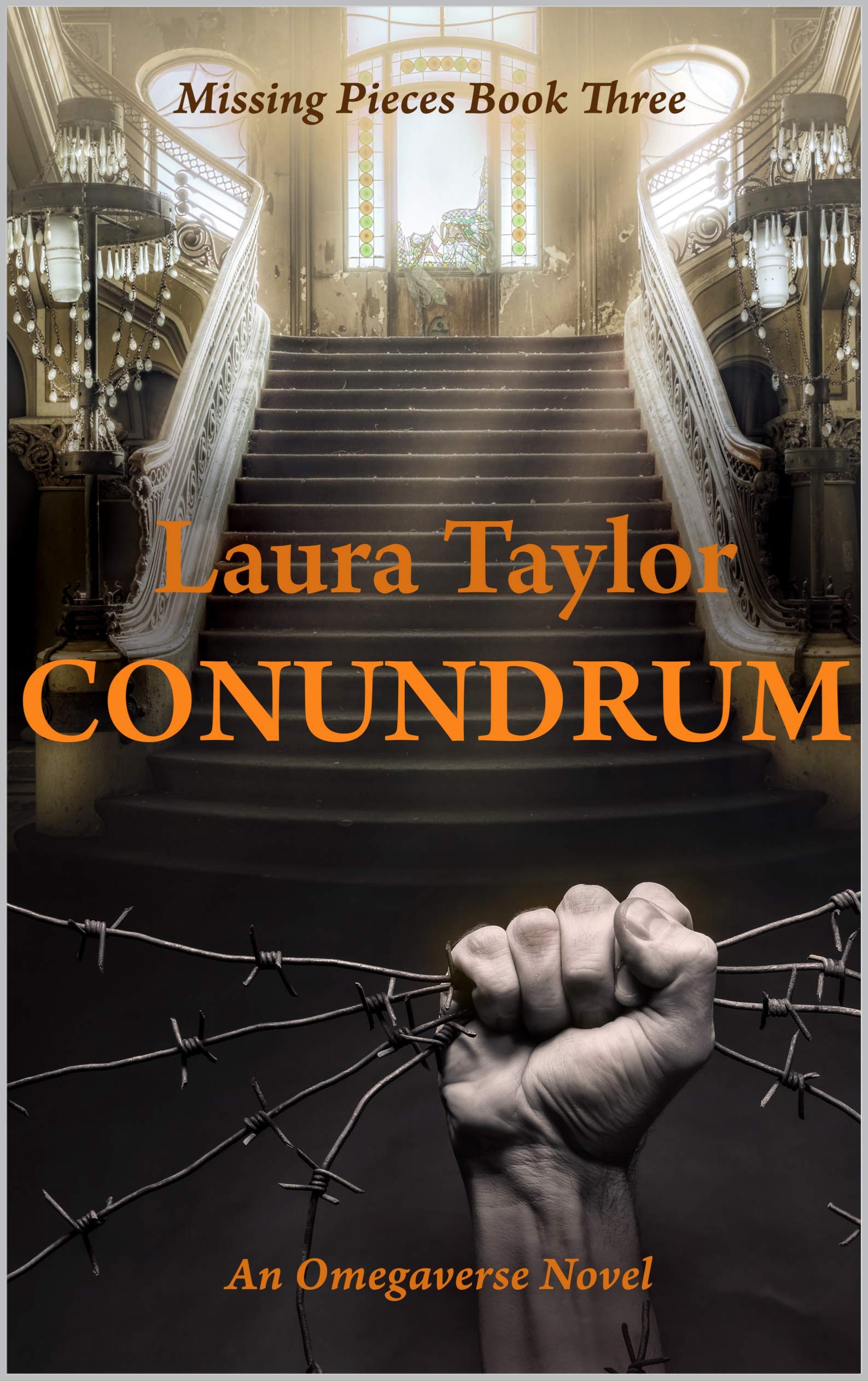 Conundrum (Missing Pieces, #3) by Laura Taylor | Goodreads