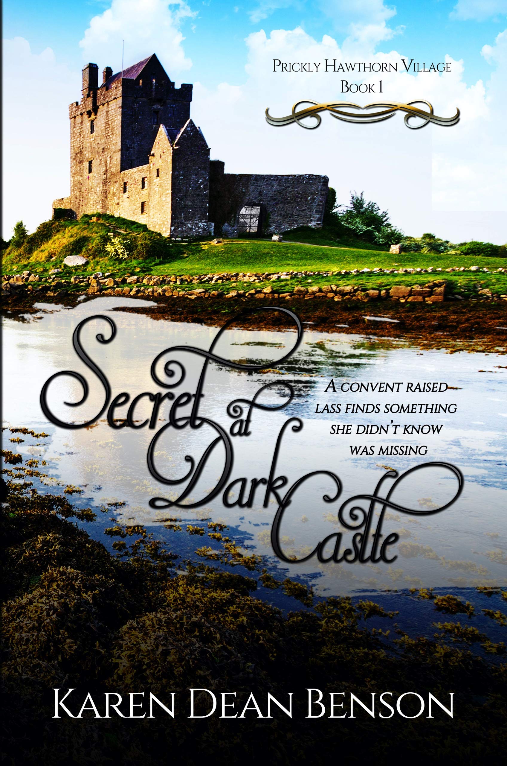 Secret at Dark Castle by Karen Dean Benson | Goodreads