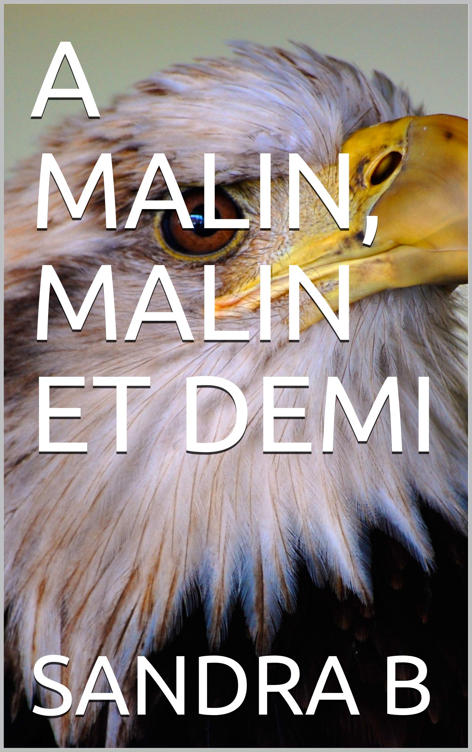 A MALIN, MALIN ET DEMI (Kmerquins) (French Edition) by Sandra B | Goodreads