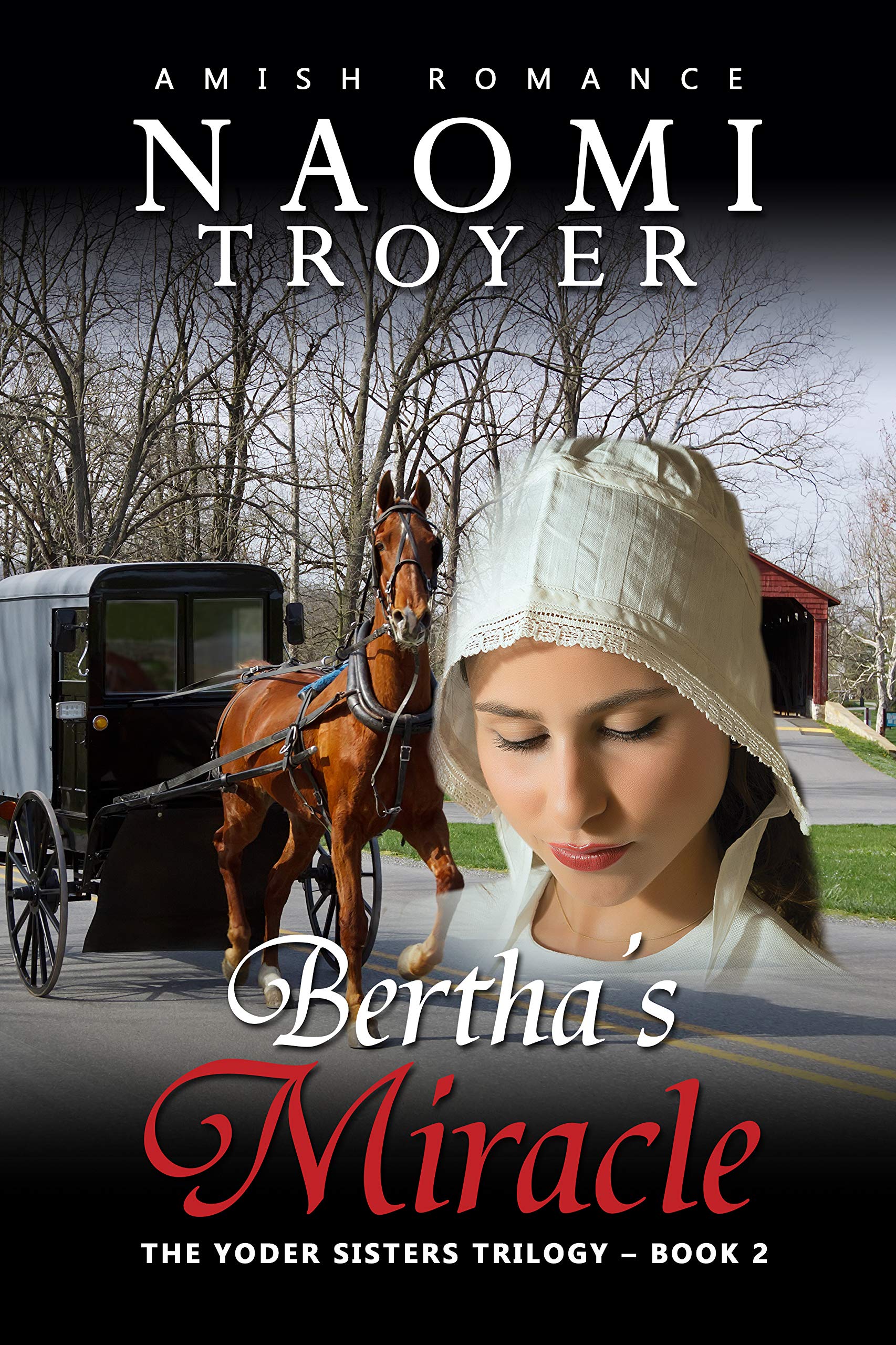 Bertha's Miracle (Yoder Sisters #2) by Naomi Troyer | Goodreads