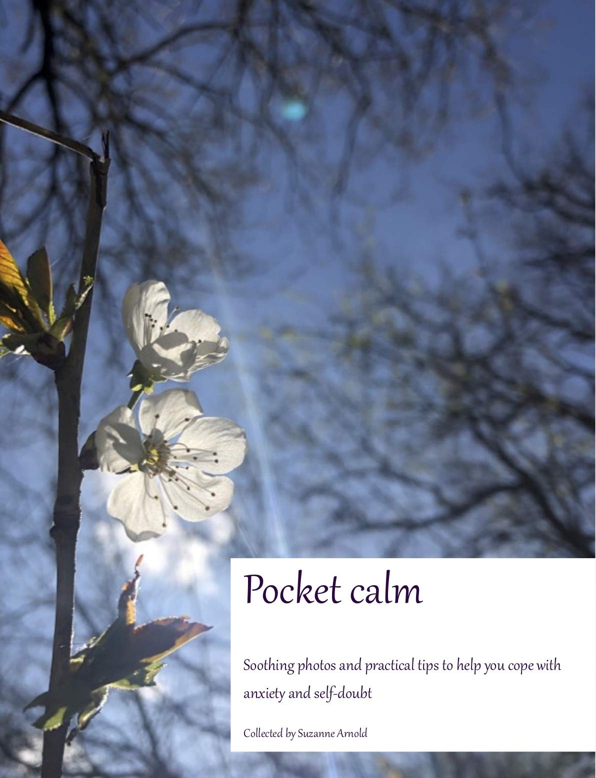 Pocket calm: Soothing photos and practical tips to help you cope with ...