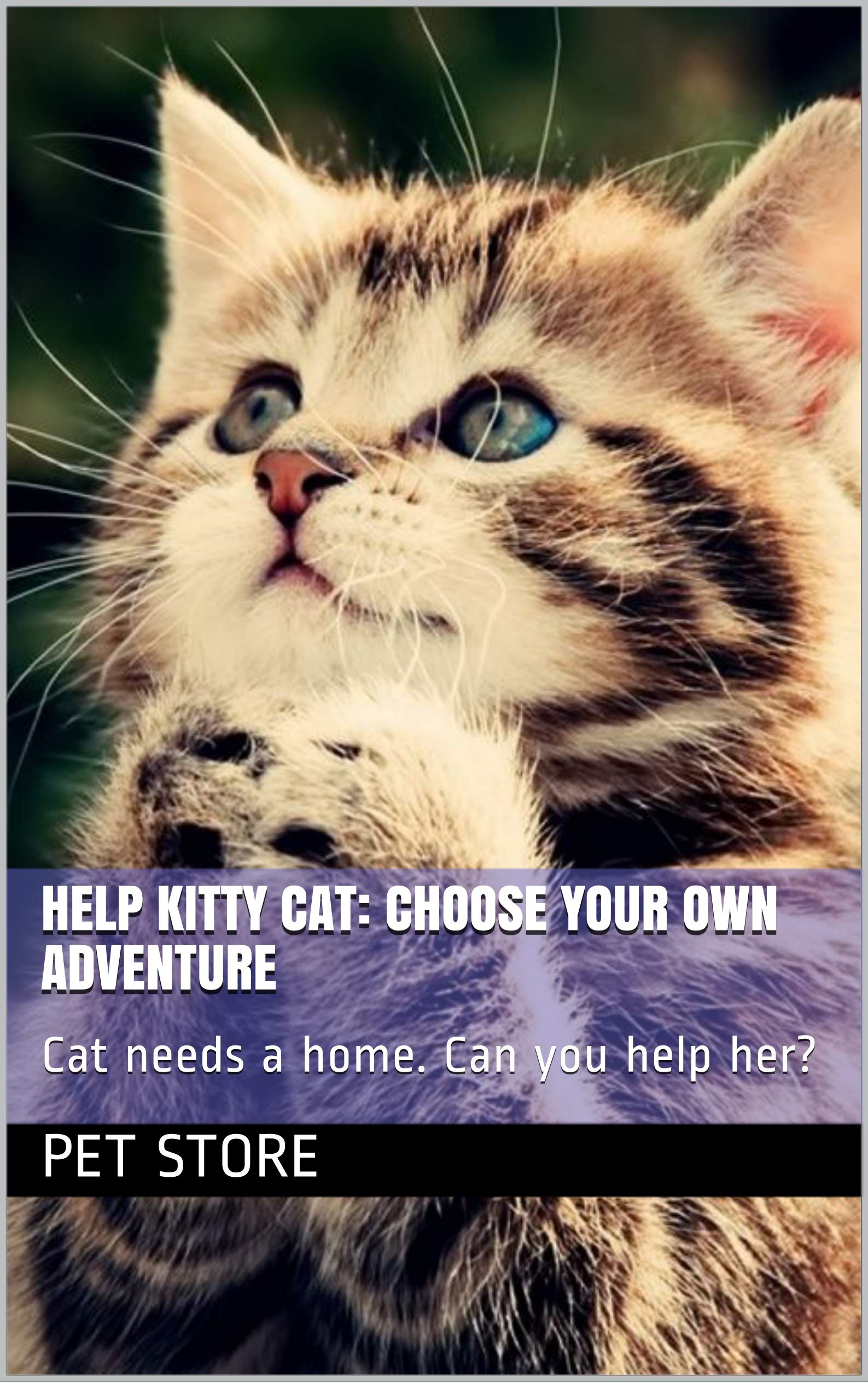 Help Kitty Cat: Choose Your Own Adventure: Cat needs a home. Can you ...