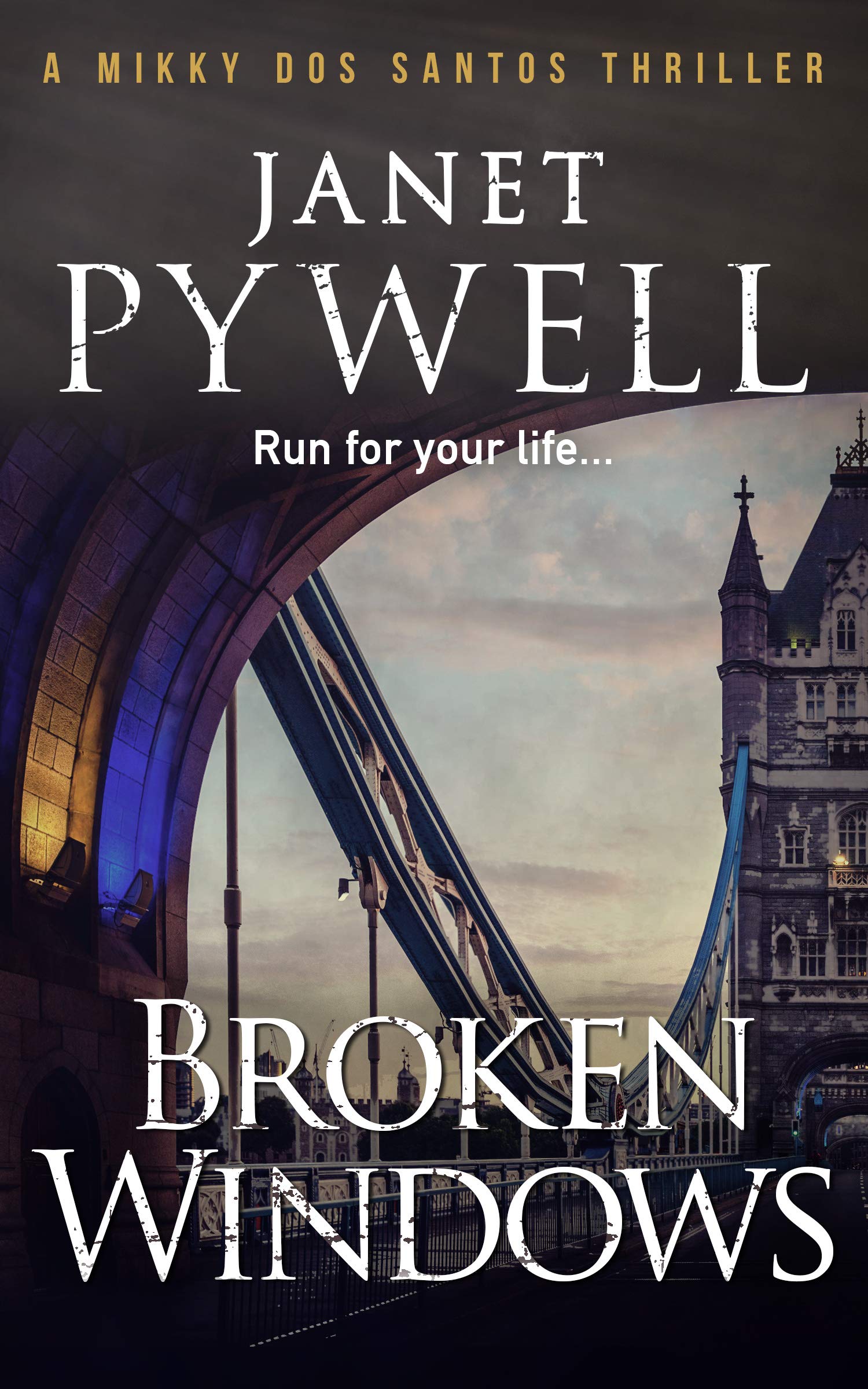 Broken Windows (Mikky dos Santos #6) by Janet Pywell | Goodreads