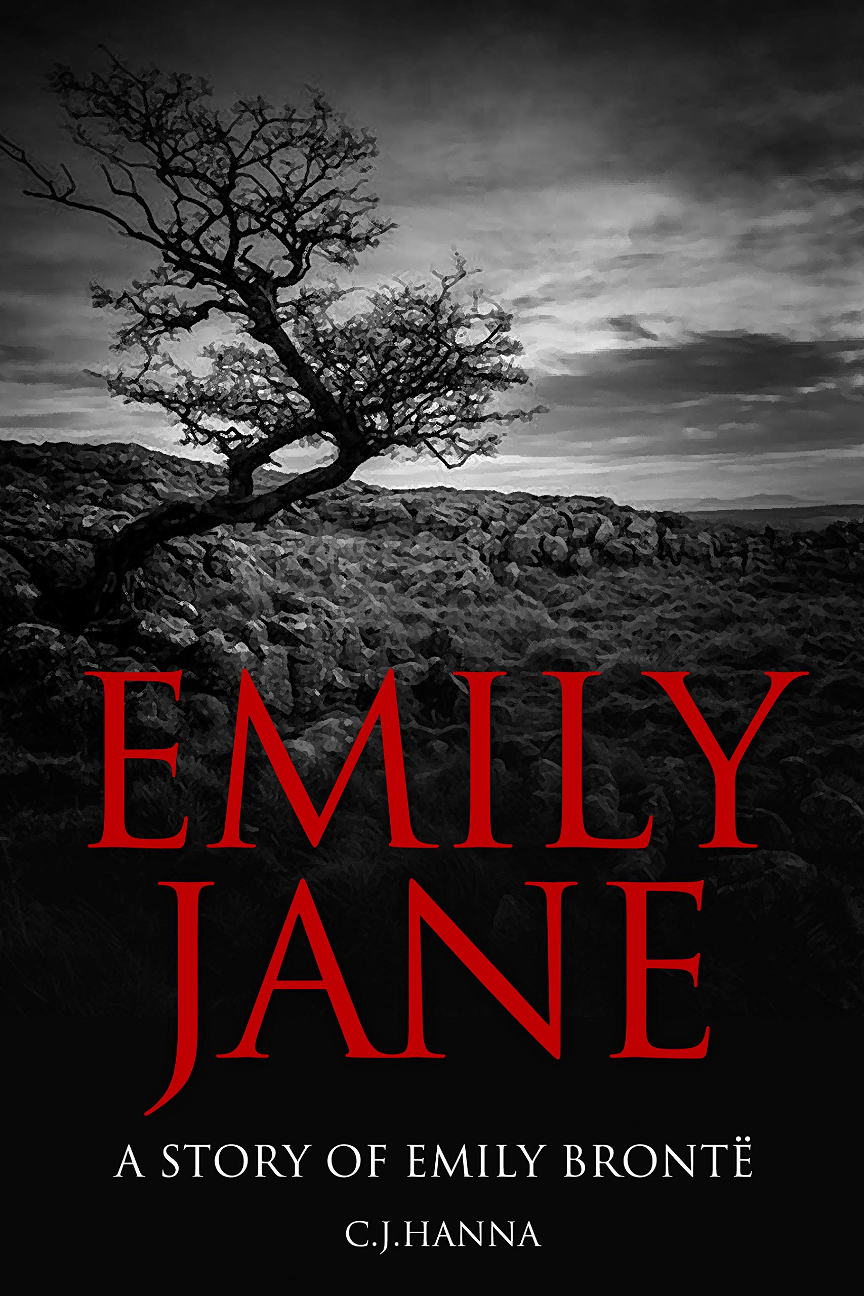 Emily Jane: A Story of Emily Brontë by C.J. Hanna | Goodreads