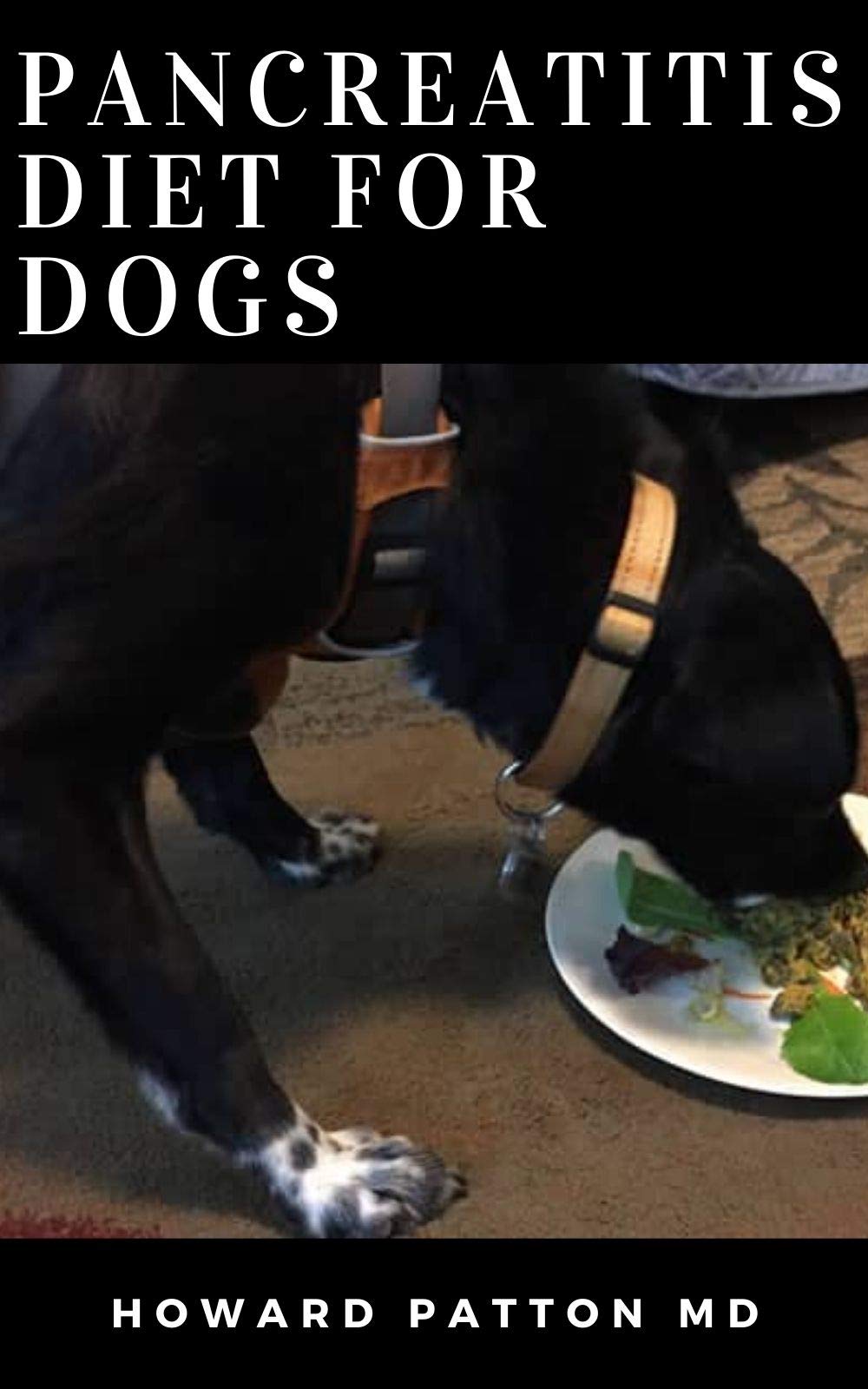 PANCREATITIS DIETS FOR DOGS: The Diet That will Prevent The Harmful ...