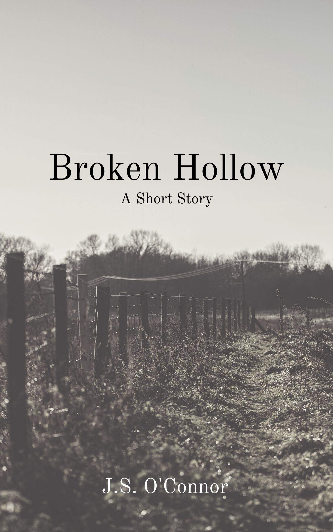Broken Hollow: A Short Story by J.S. O'Connor | Goodreads