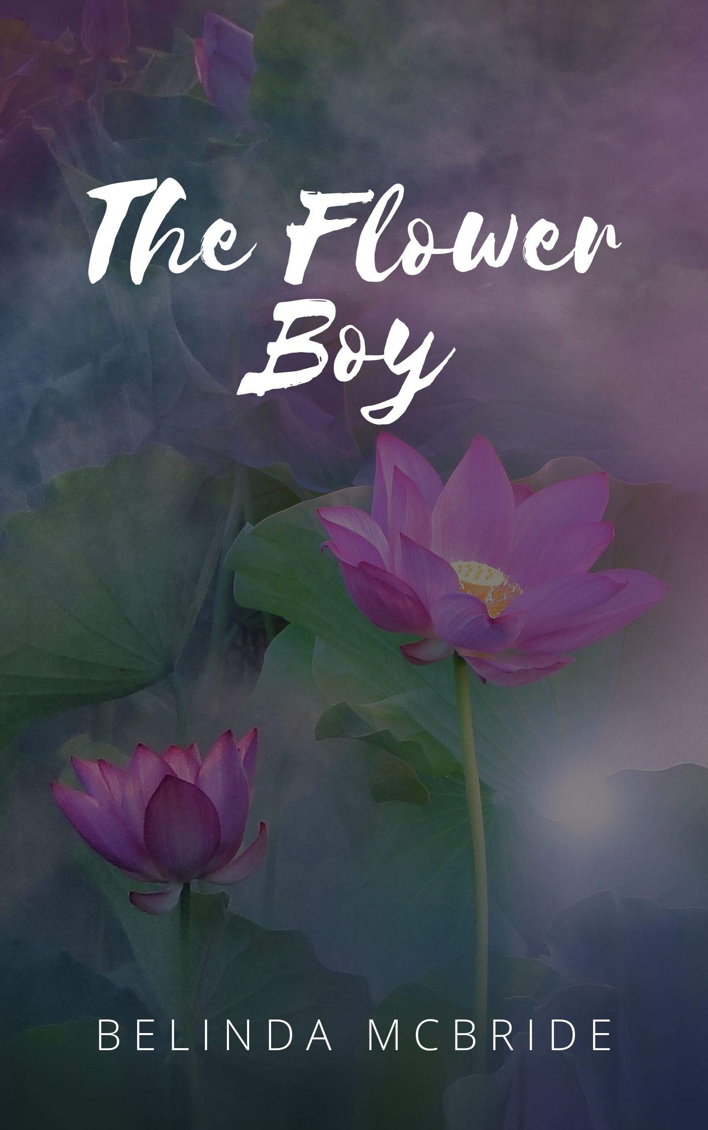 The Flower Boy by Belinda McBride | Goodreads