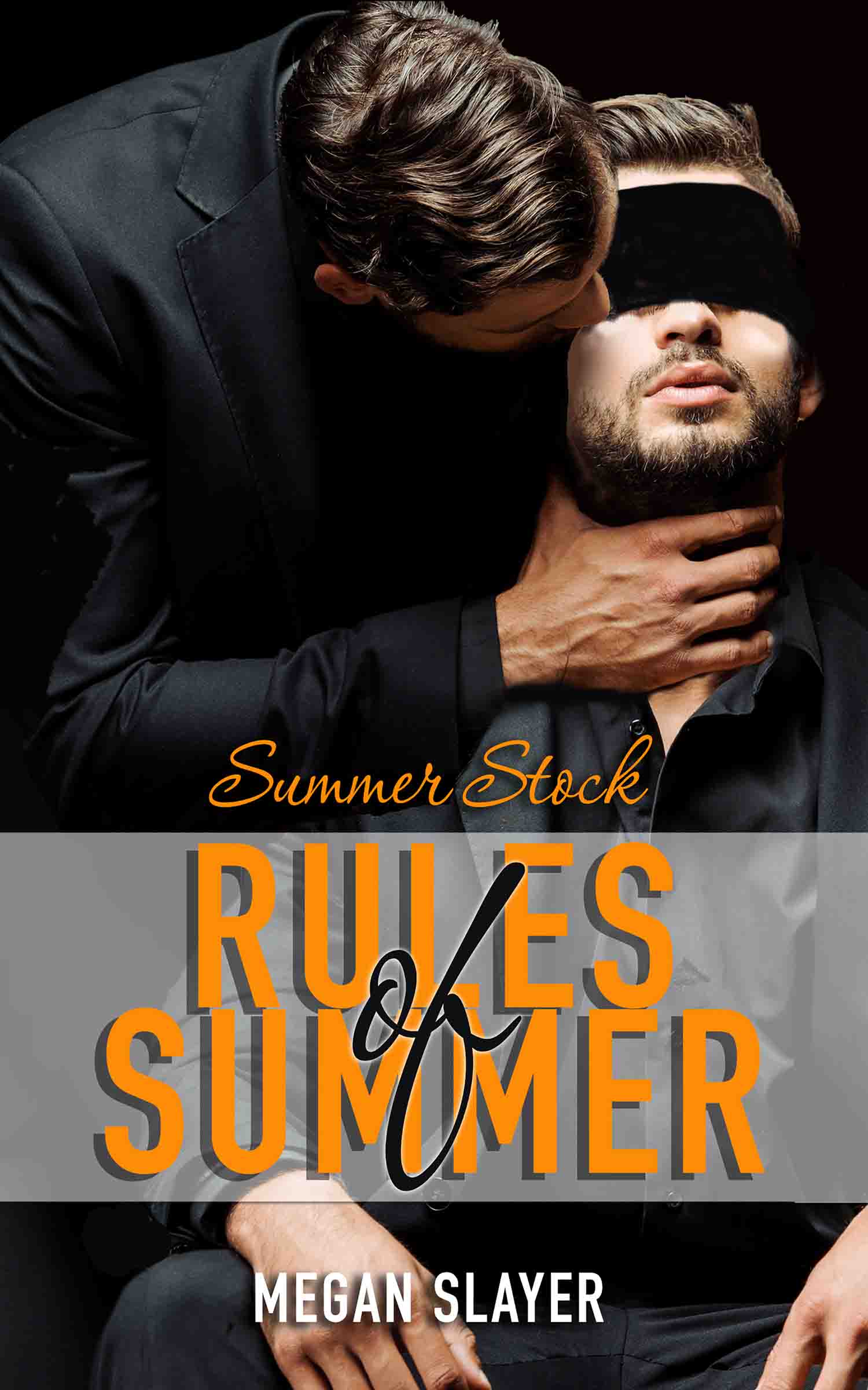 Summer Stock (Rules of Summer Collection, #4) by Megan Slayer | Goodreads
