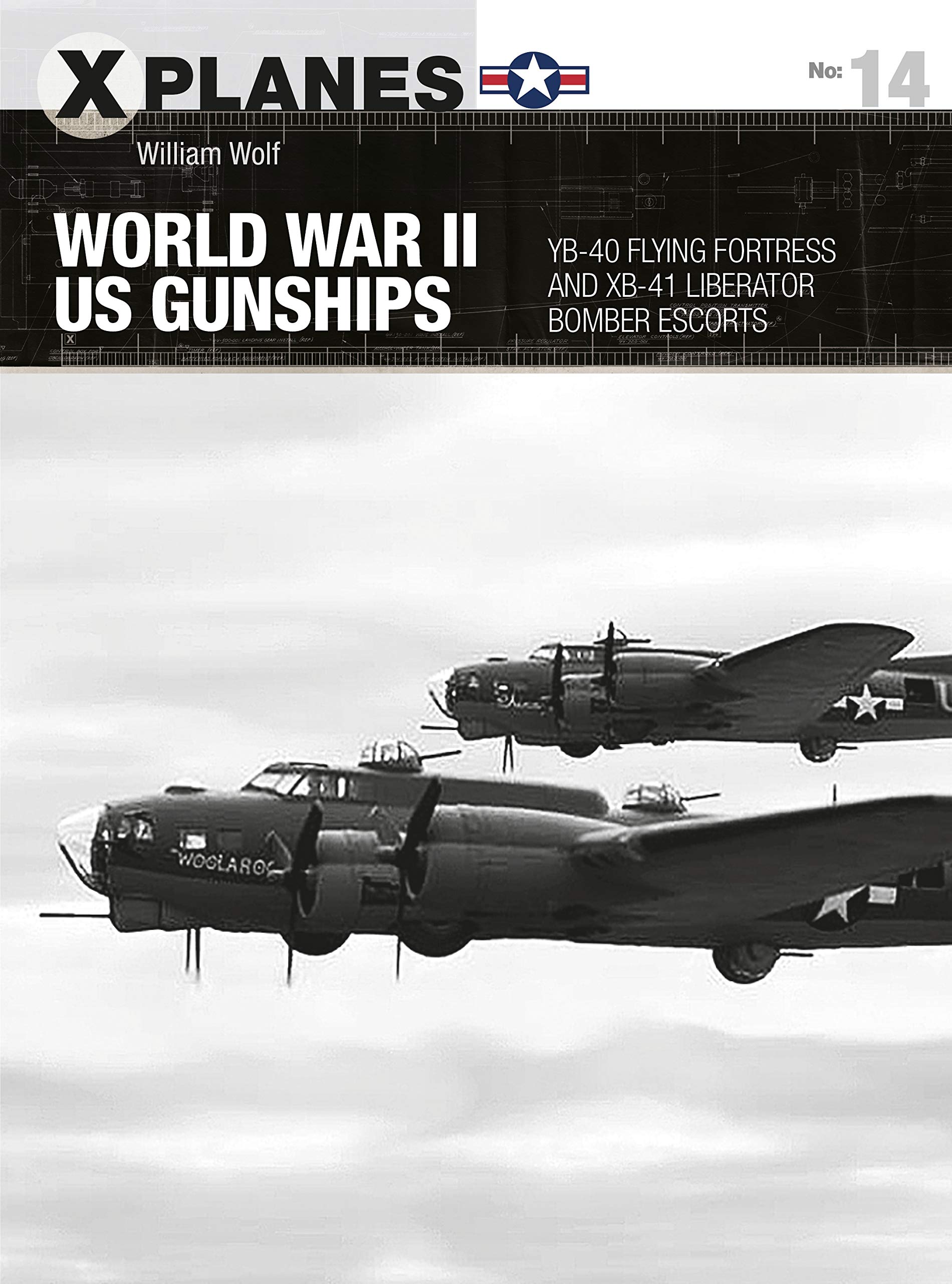 World War II US Gunships: YB-40 Flying Fortress and XB-41 Liberator ...
