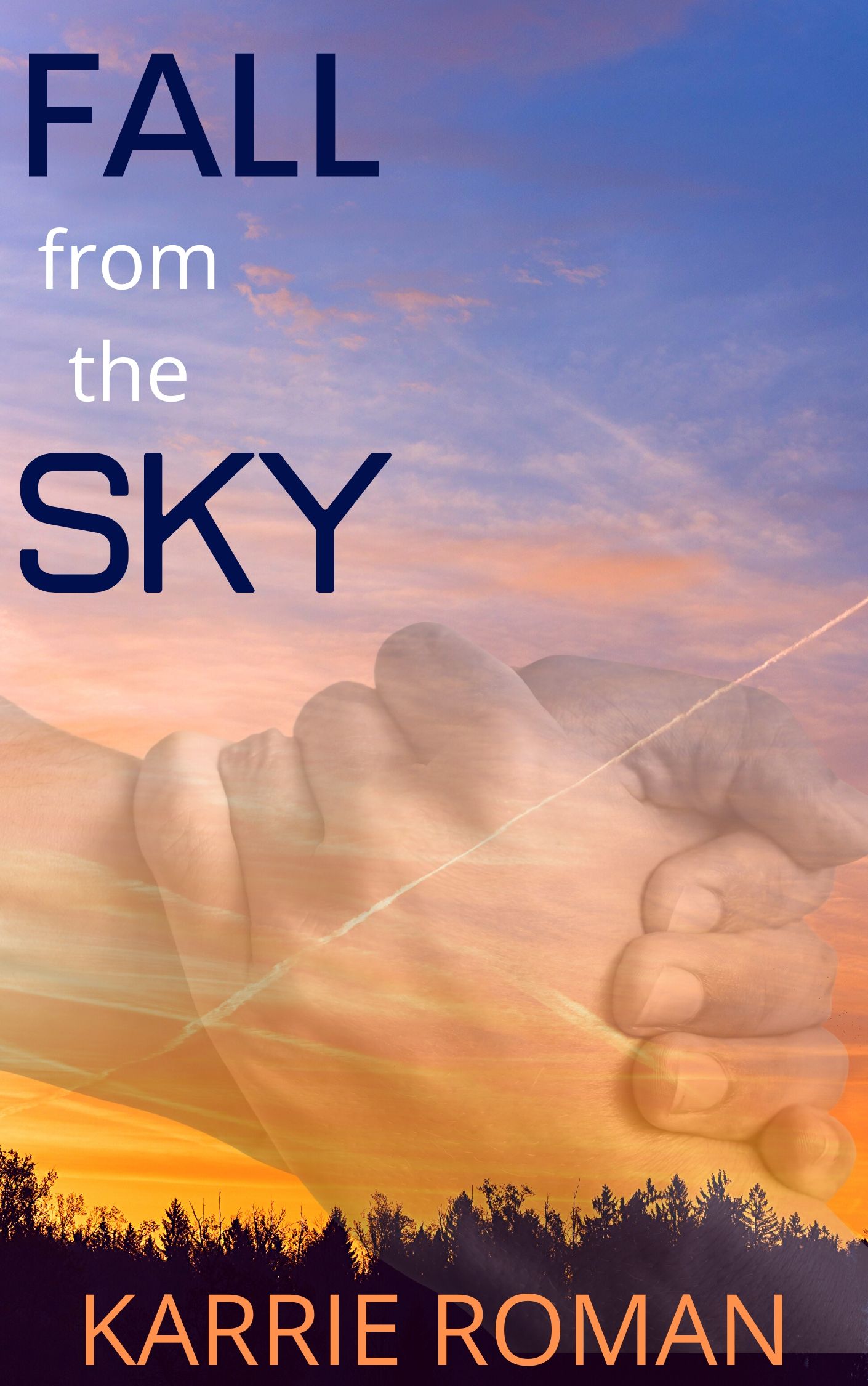 Fall from the Sky by Karrie Roman | Goodreads